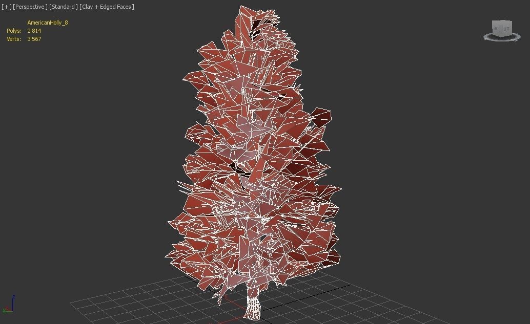 3D model American Holly Tree VR / AR / low-poly | CGTrader