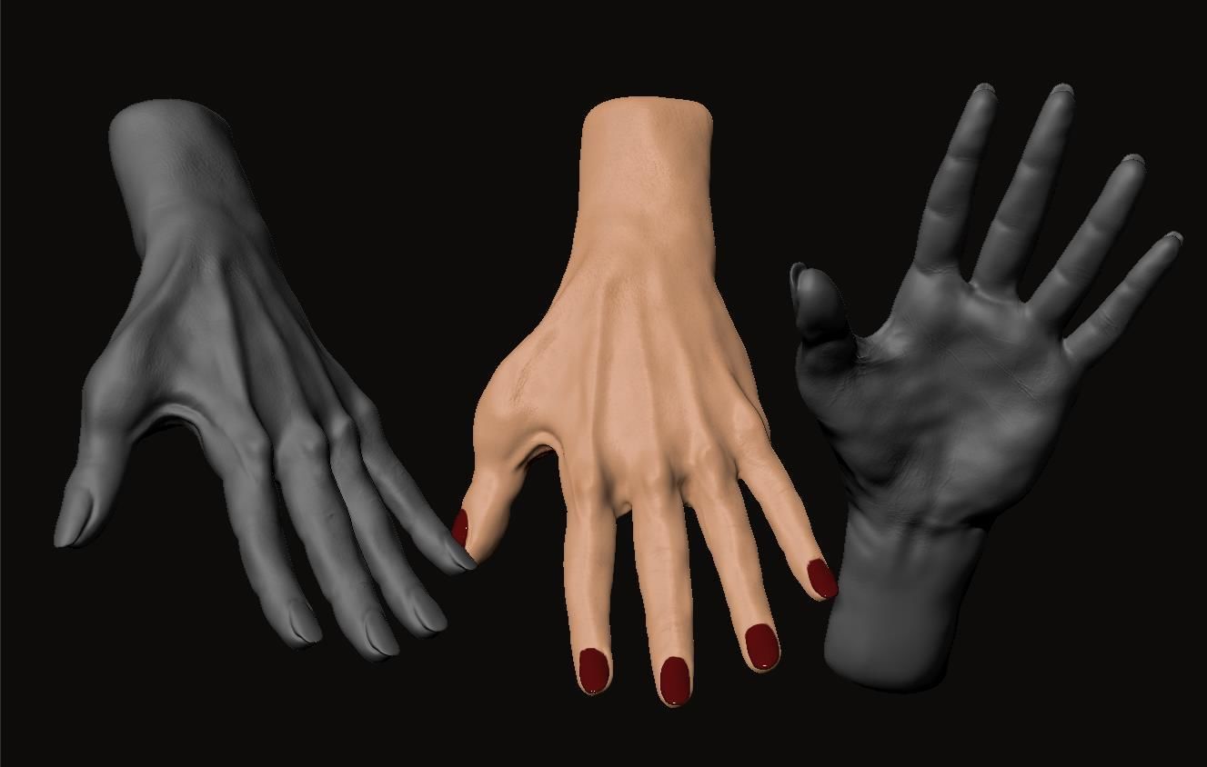 Female Hand Sculpt 3D model | CGTrader