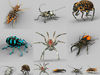 3D model Insect Collection Vol 1 VR / AR / low-poly | CGTrader