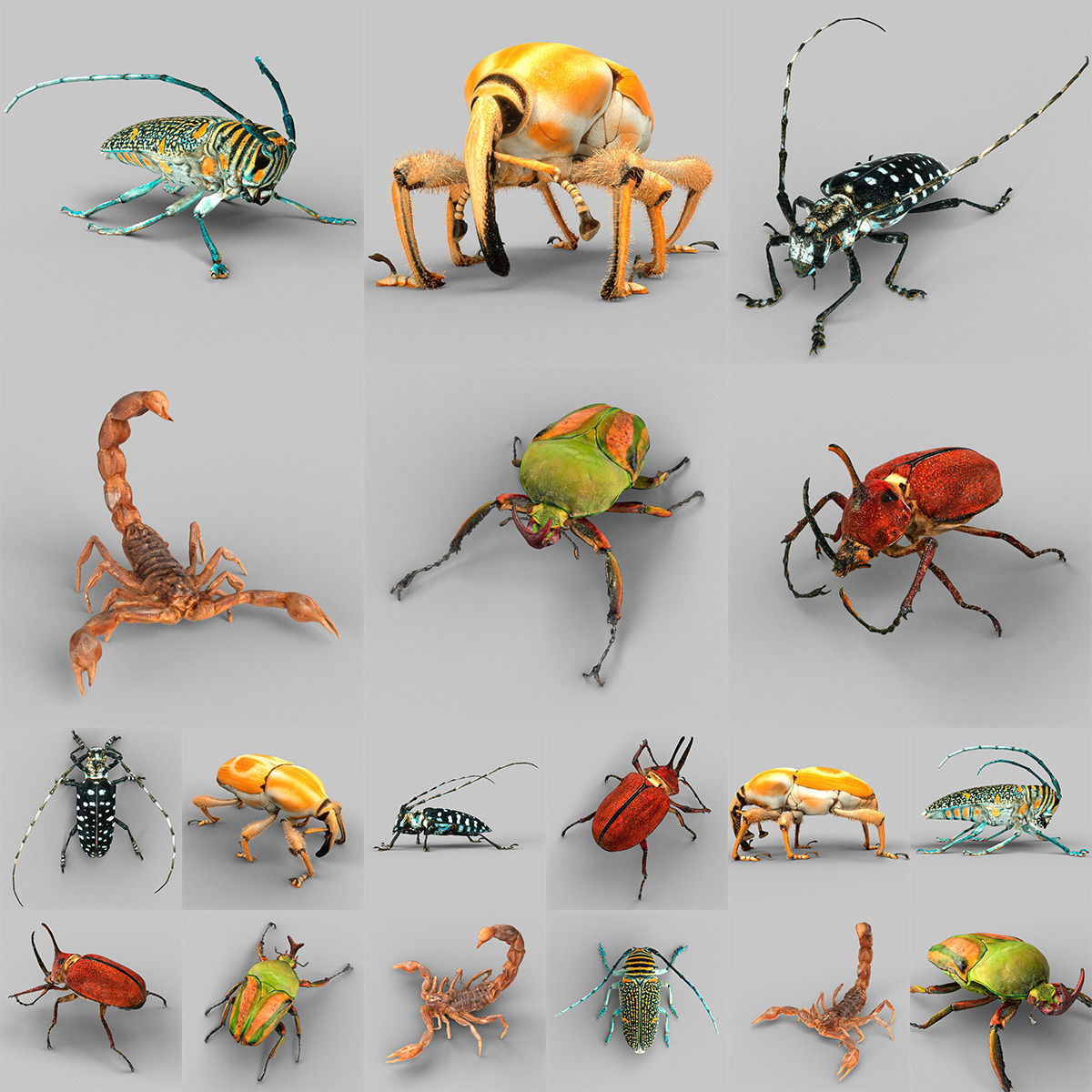3D model Insect Collection Vol 2 VR / AR / low-poly | CGTrader