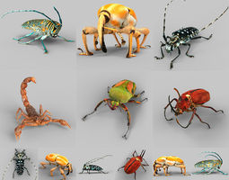 Insect 3D Models | CGTrader