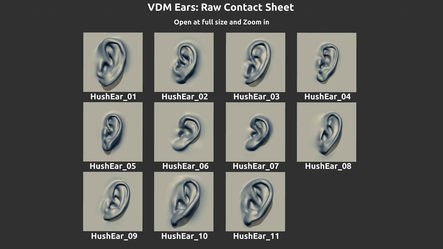 Zbrush - Ear- VDM Brushes 3D model | CGTrader