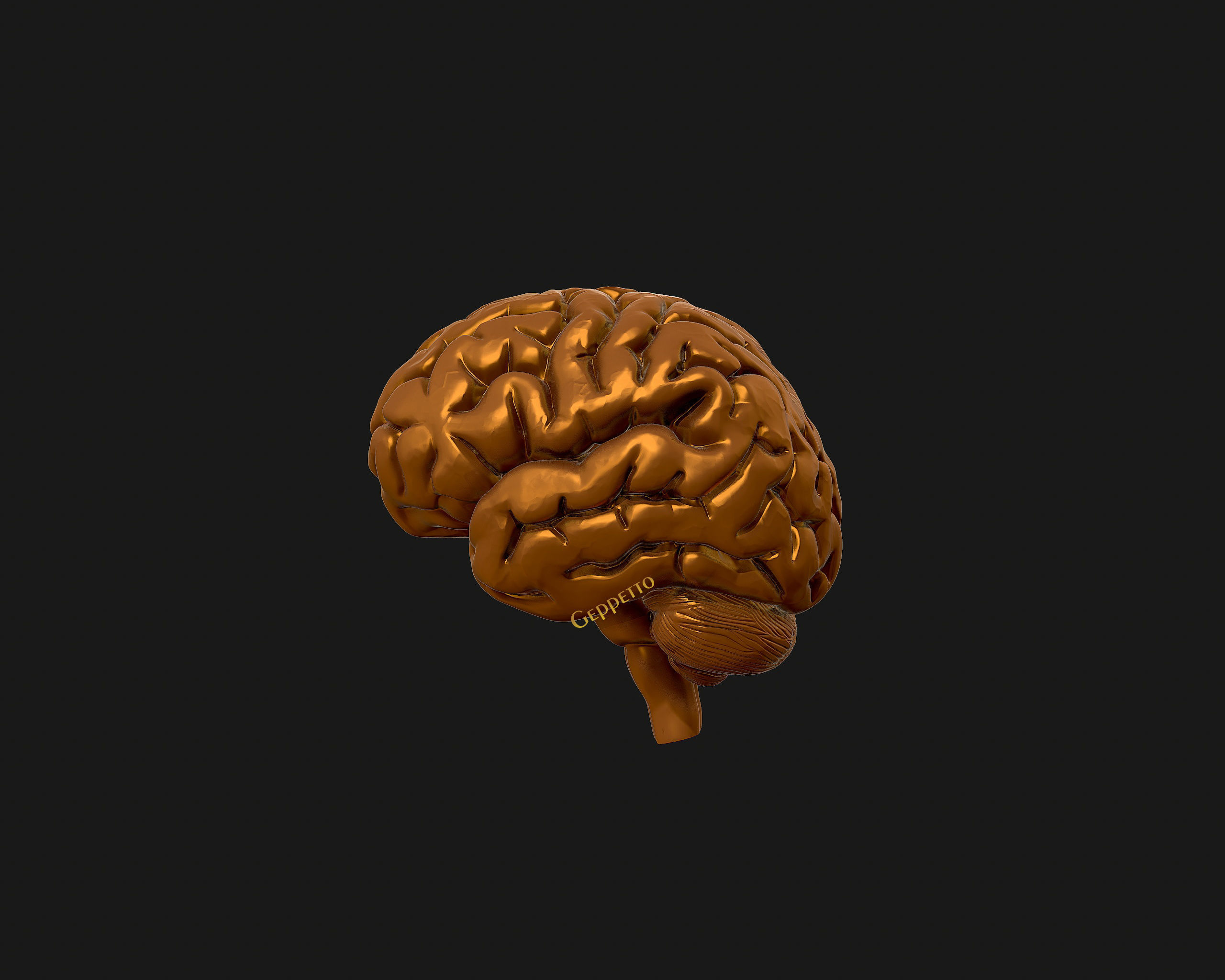 human Brain 3D model Ready to 3D print 3D model 3D printable | CGTrader