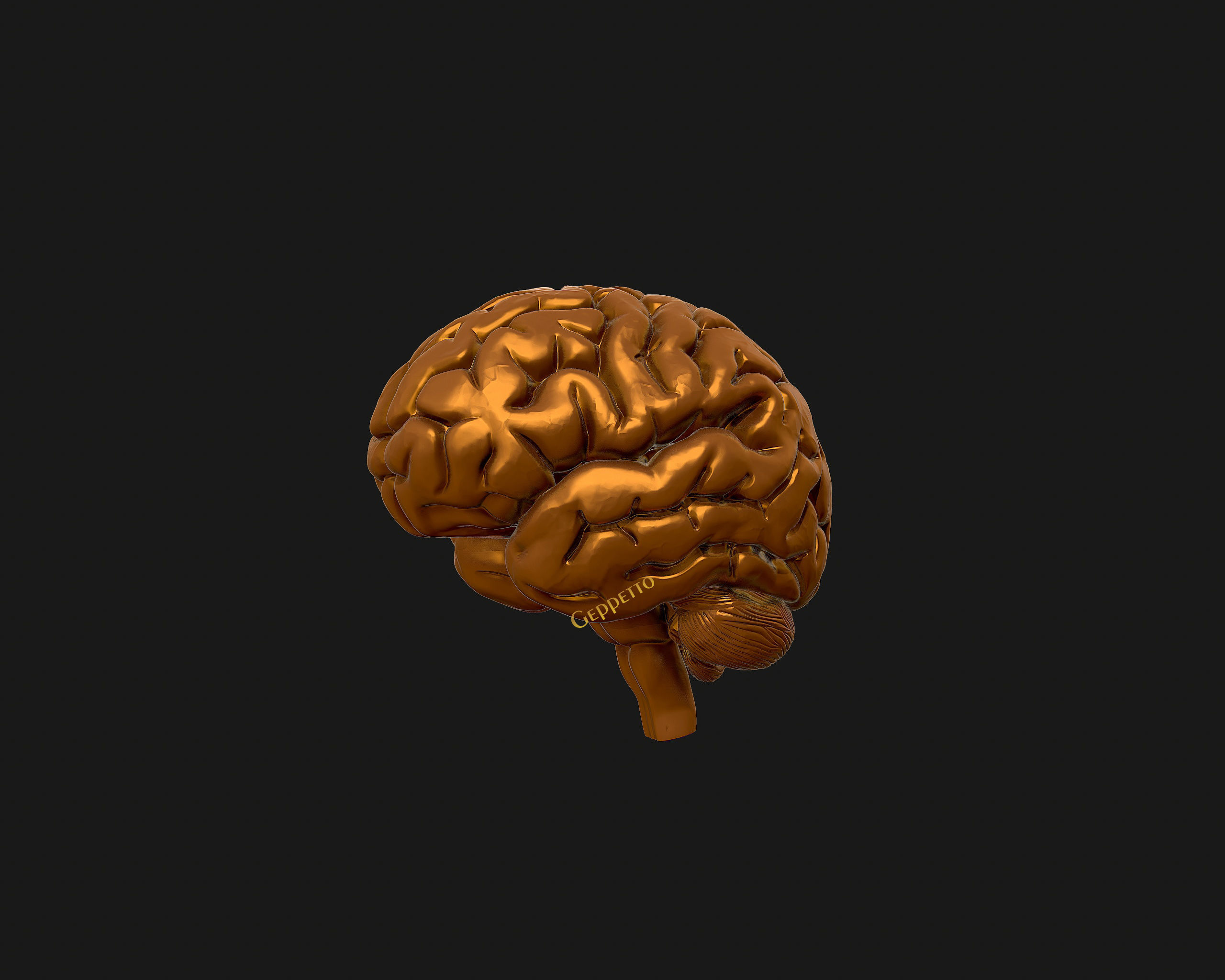 human Brain 3D model Ready to 3D print 3D model 3D printable | CGTrader