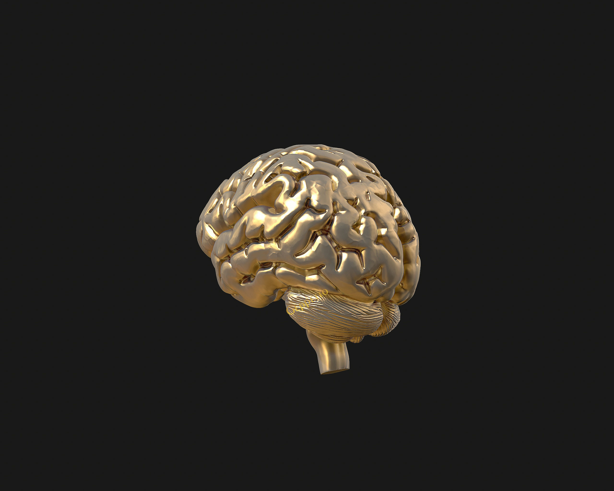 human Brain 3D model Ready to 3D print 3D model 3D printable | CGTrader