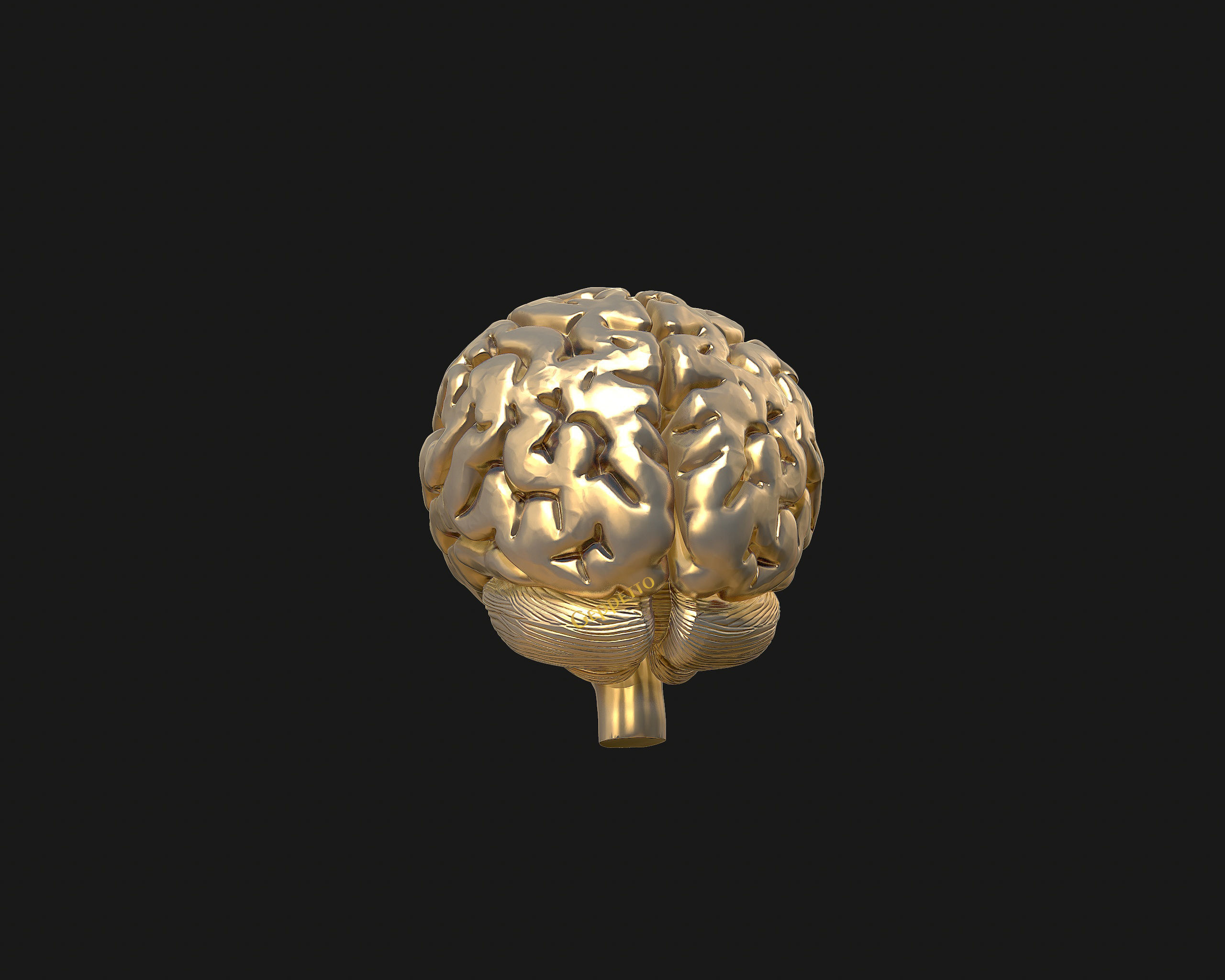 human Brain 3D model Ready to 3D print 3D model 3D printable | CGTrader