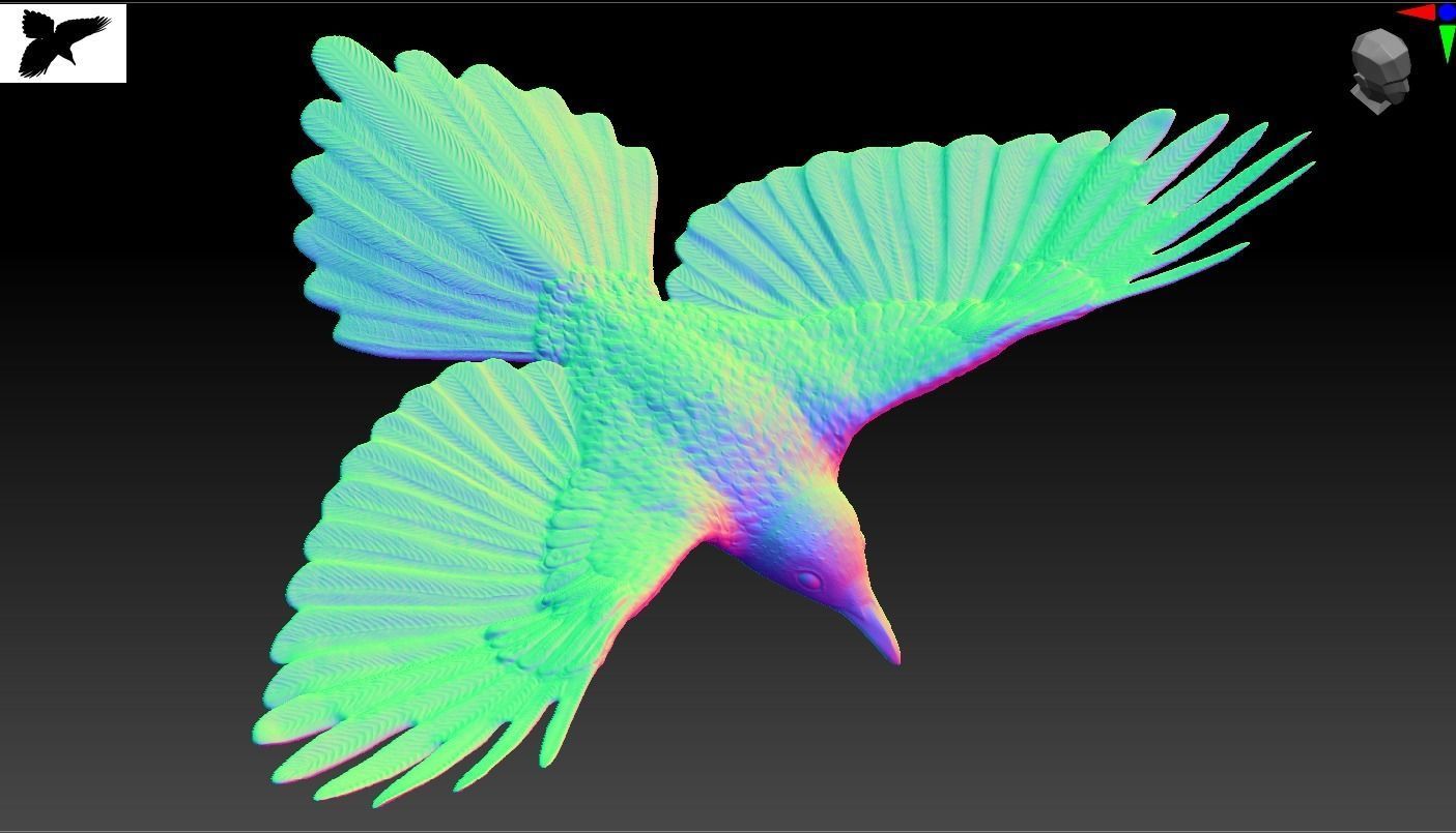 Magpie 3D model 3D printable | CGTrader
