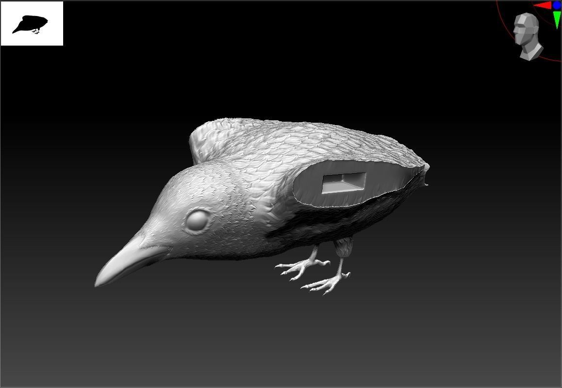 Magpie 3D model 3D printable | CGTrader