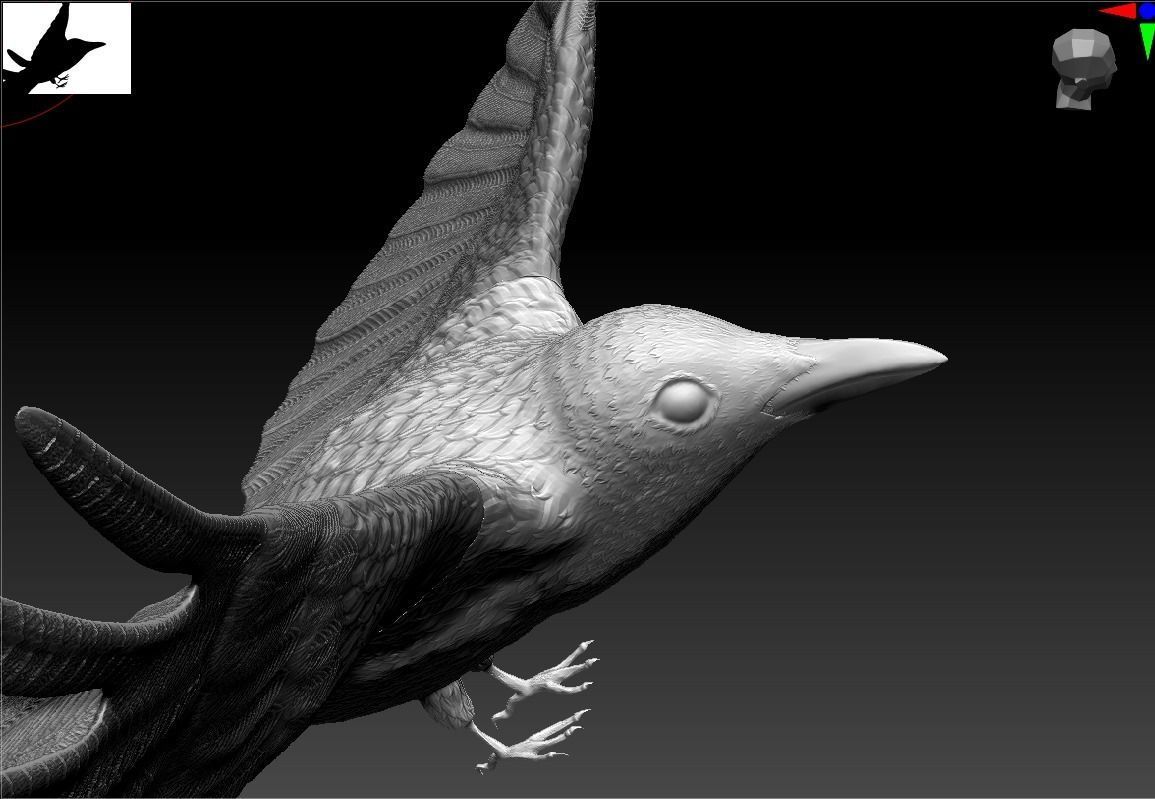 Magpie 3D model 3D printable | CGTrader