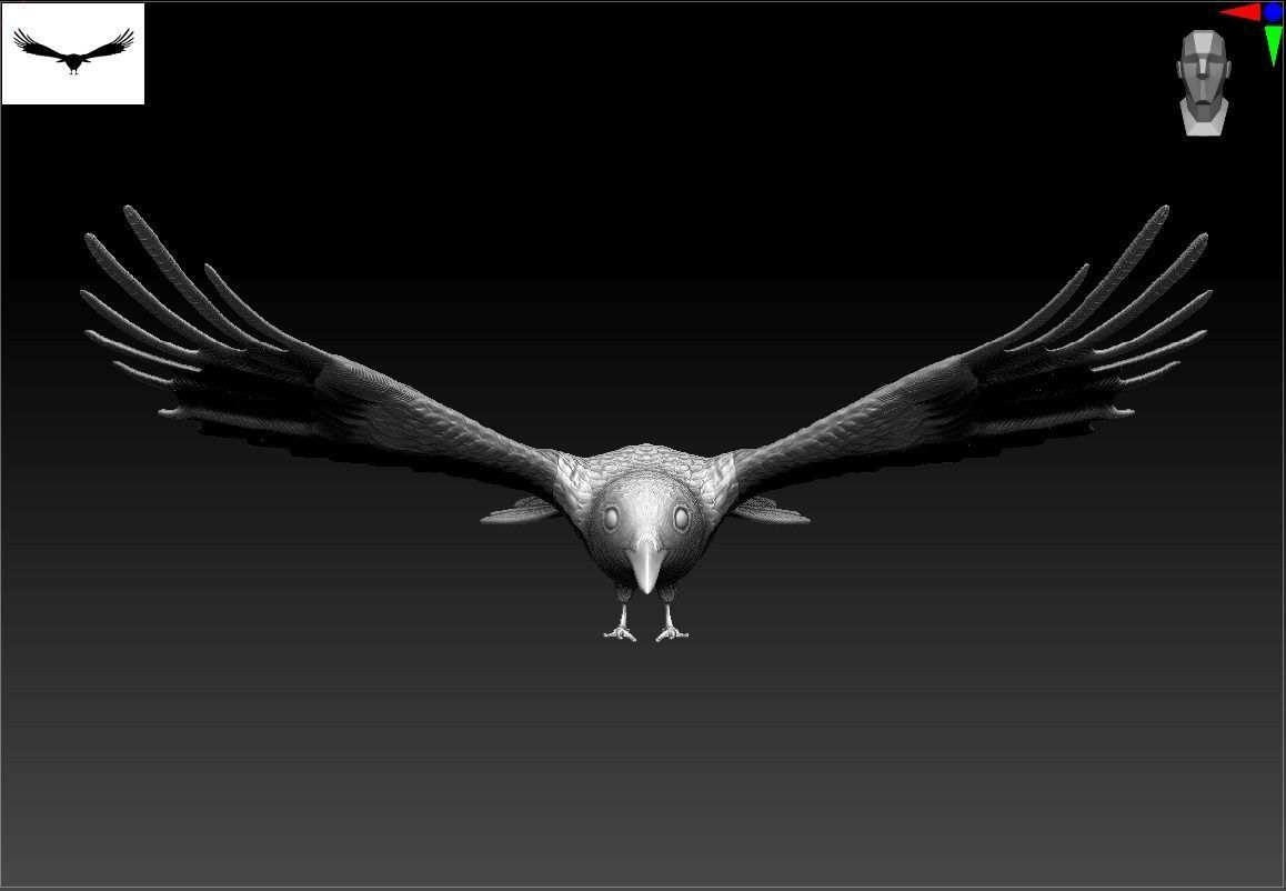 Magpie 3D model 3D printable | CGTrader