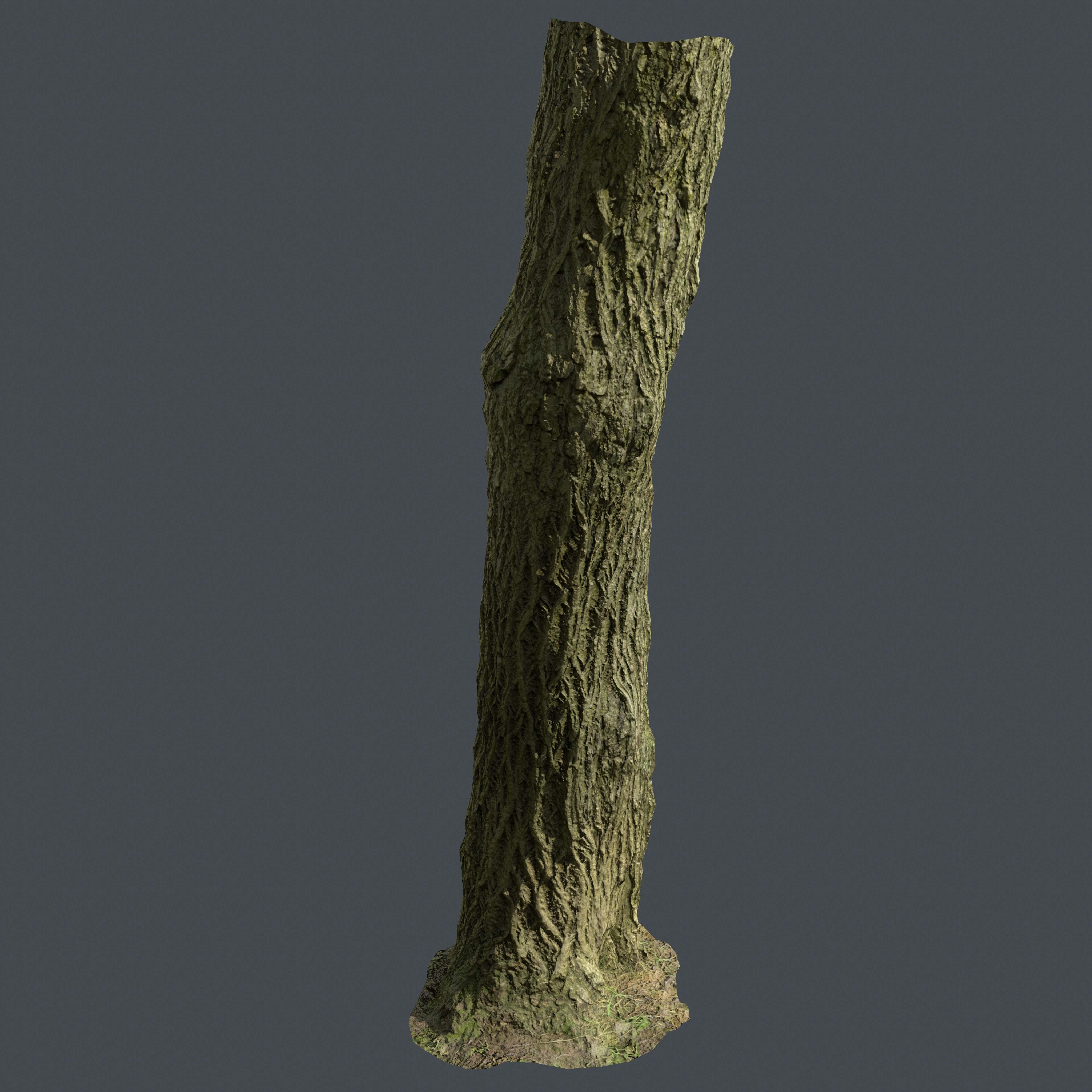 3D model PBR Scanned Tree Trunk VR / AR / low-poly | CGTrader