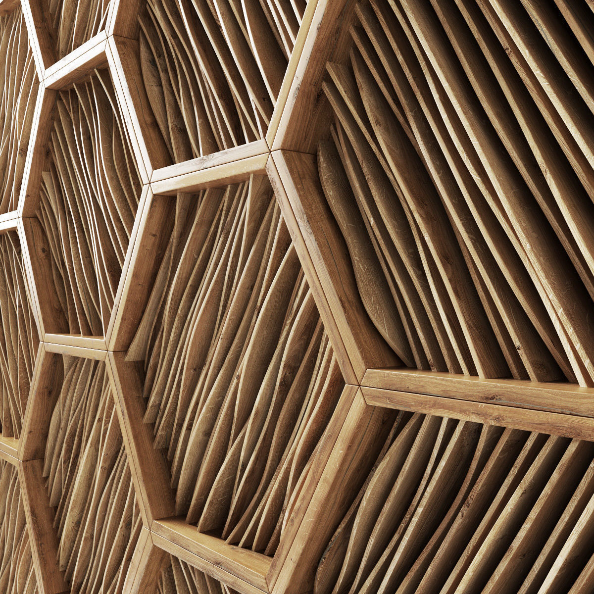 Parametric Ngon frame decor 3D model | CGTrader