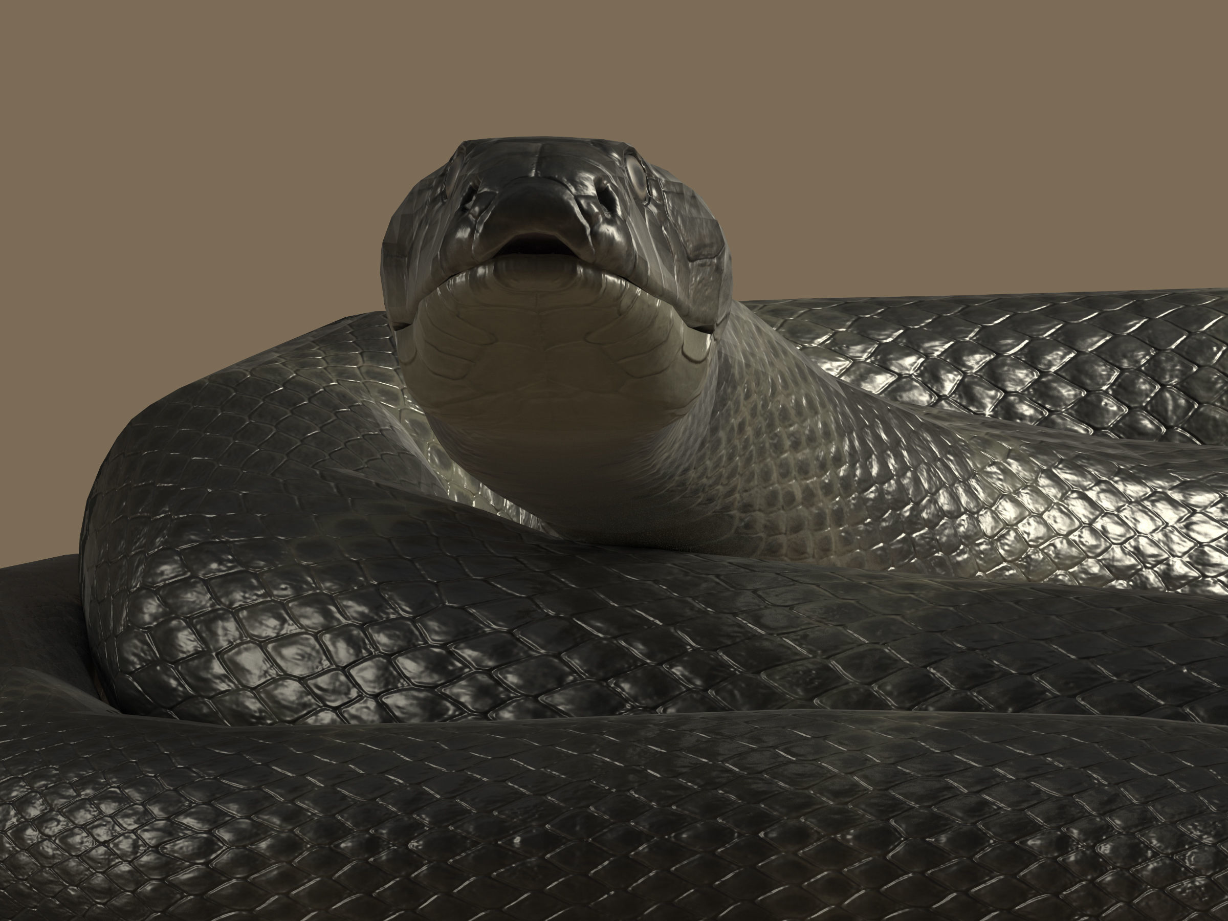 3D model King Cobra VR / AR / low-poly rigged | CGTrader