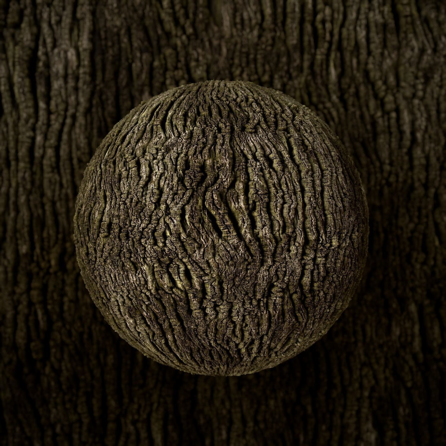Oak-bark PBR Texture free VR / AR / low-poly 3D model | CGTrader