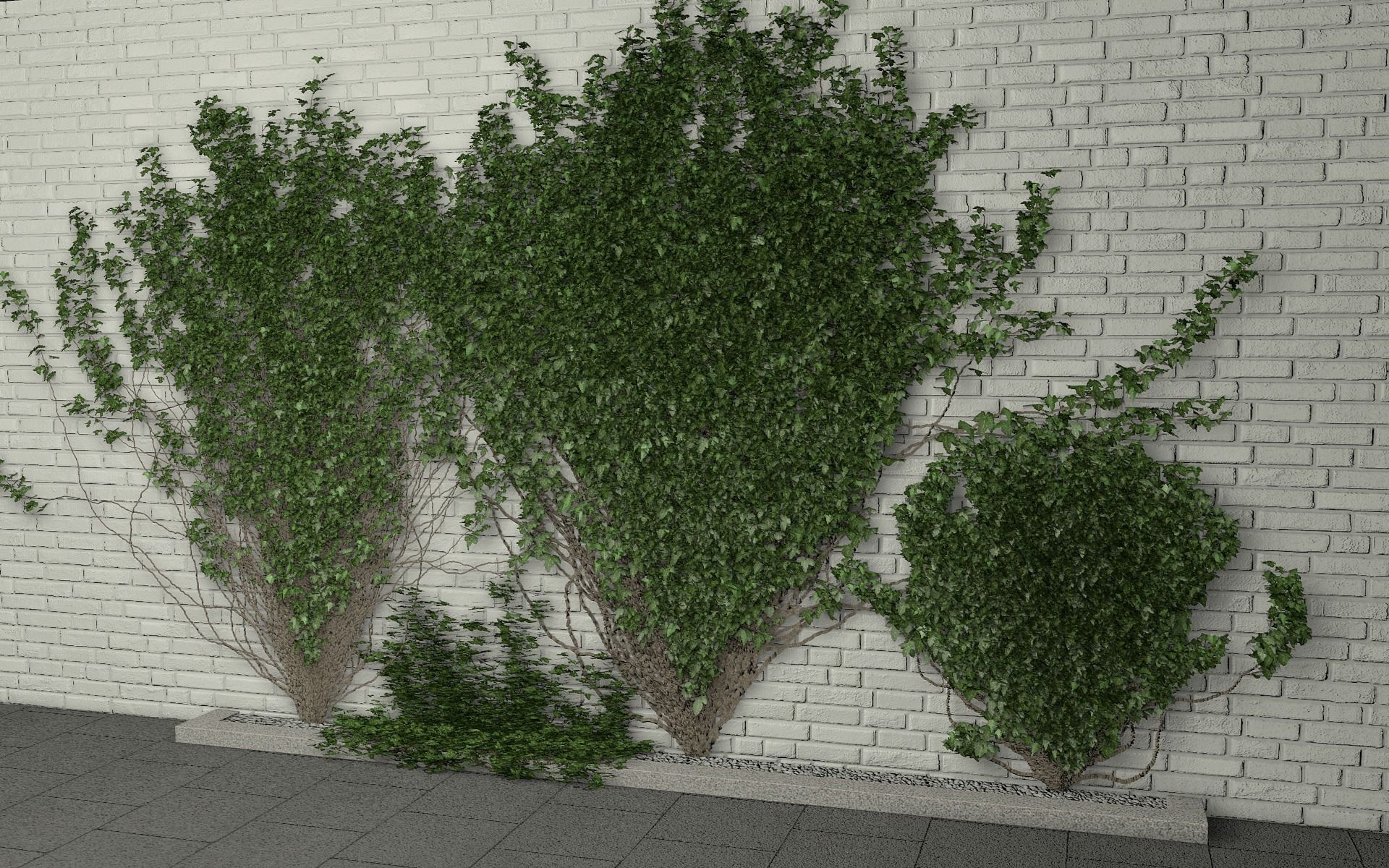 ivy wall 3D model | CGTrader
