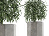 Single Plant 04 3D model | CGTrader