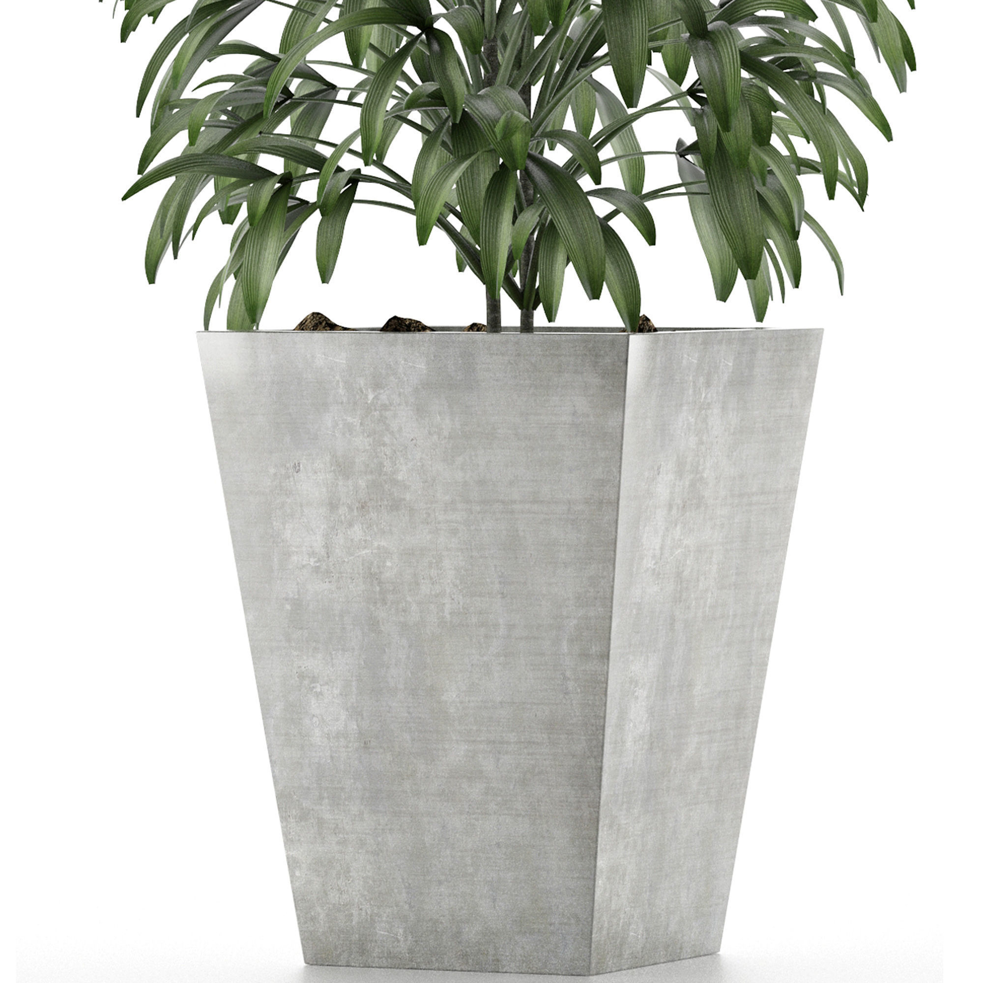 Single Plant 05 3D model | CGTrader