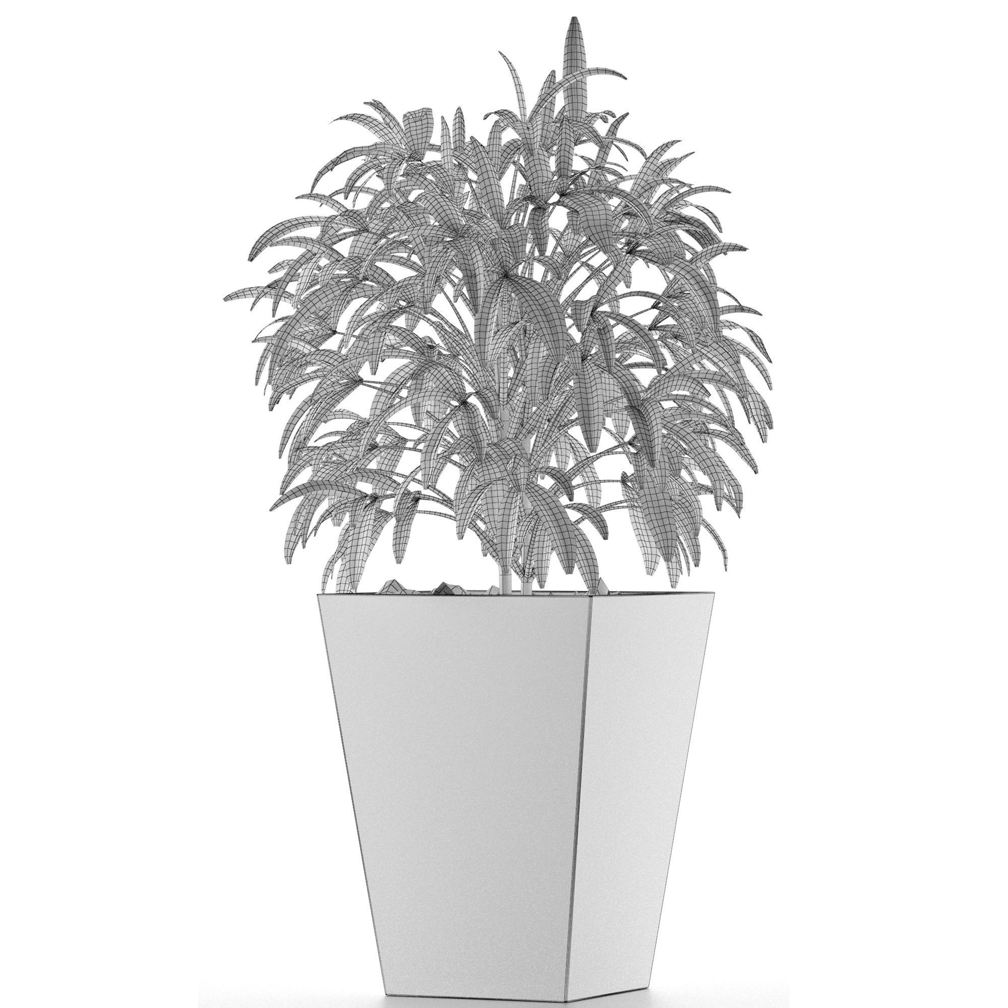 Single Plant 05 3D model | CGTrader