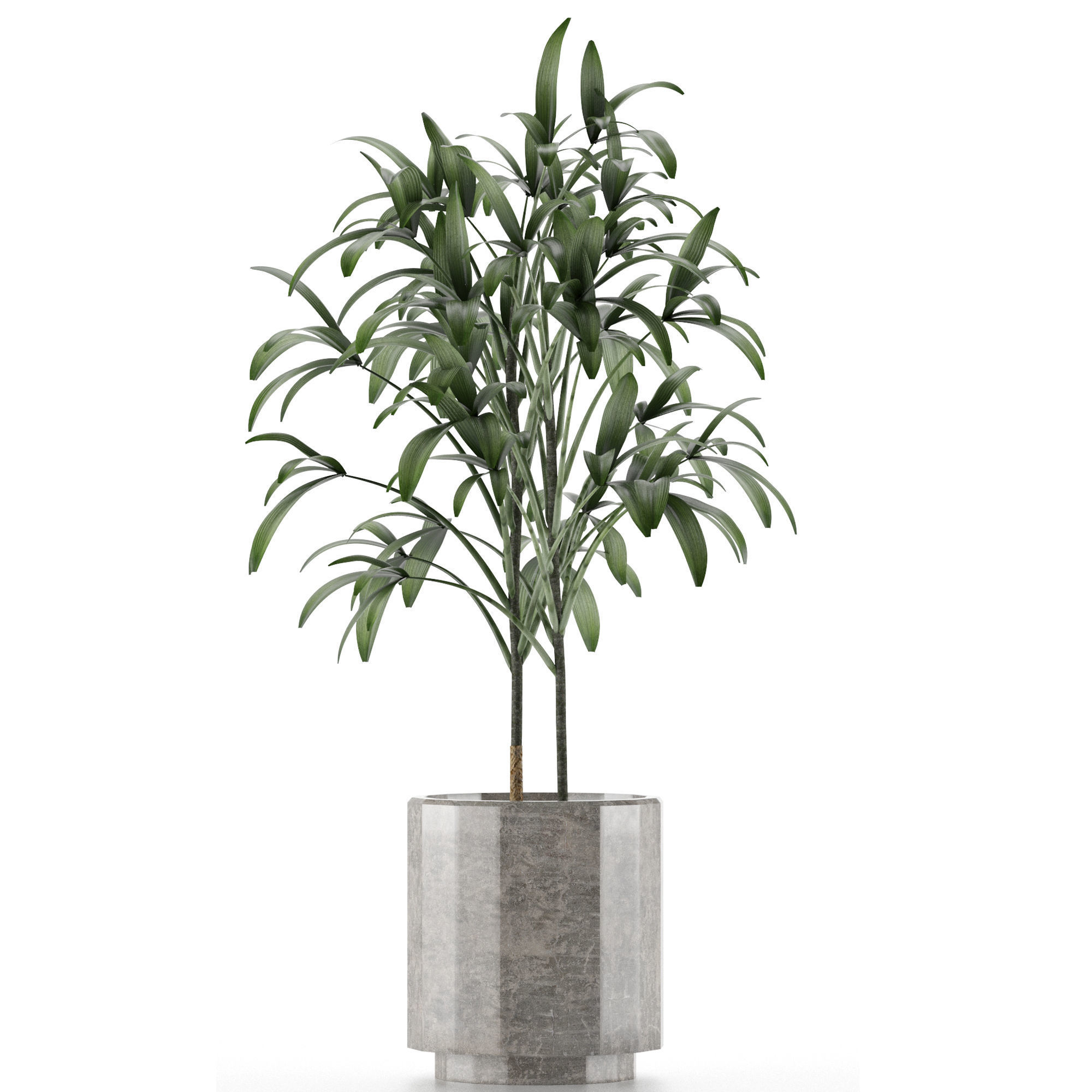 Single Plant 06 3D model | CGTrader