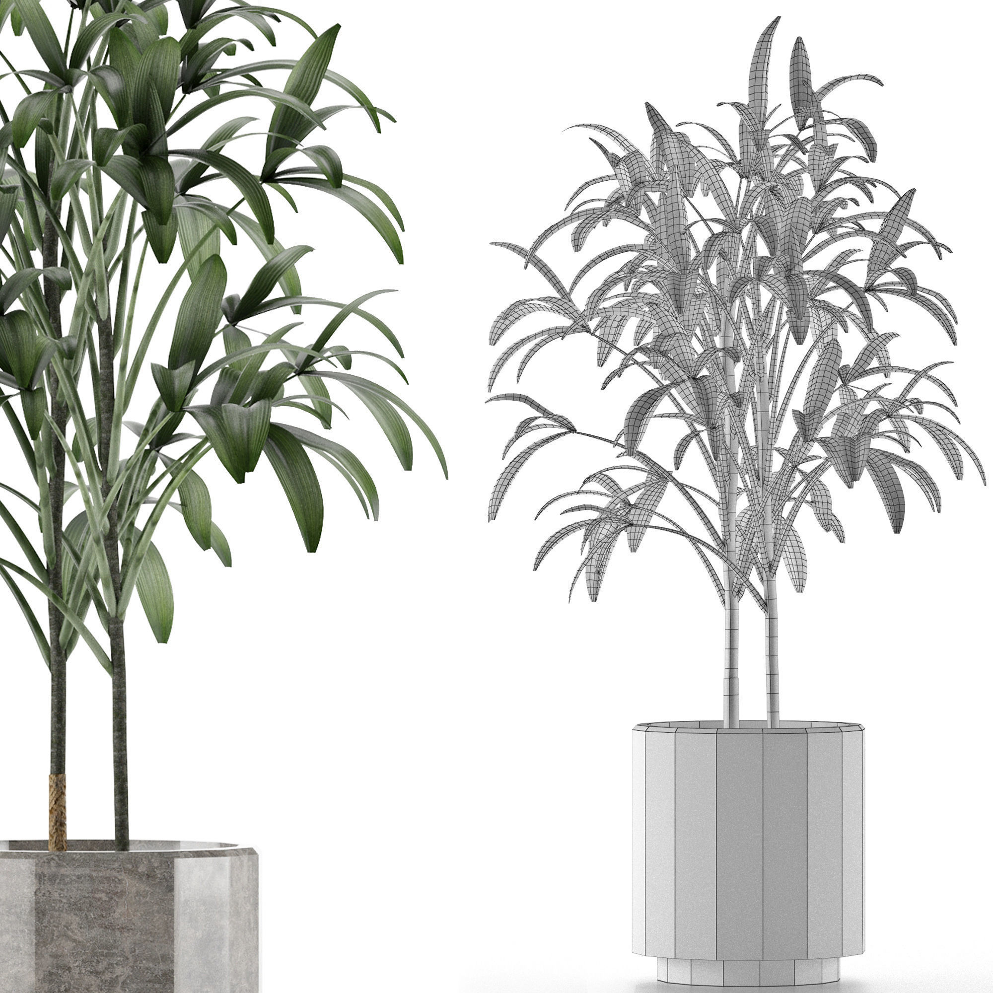 Single Plant 06 3D model | CGTrader