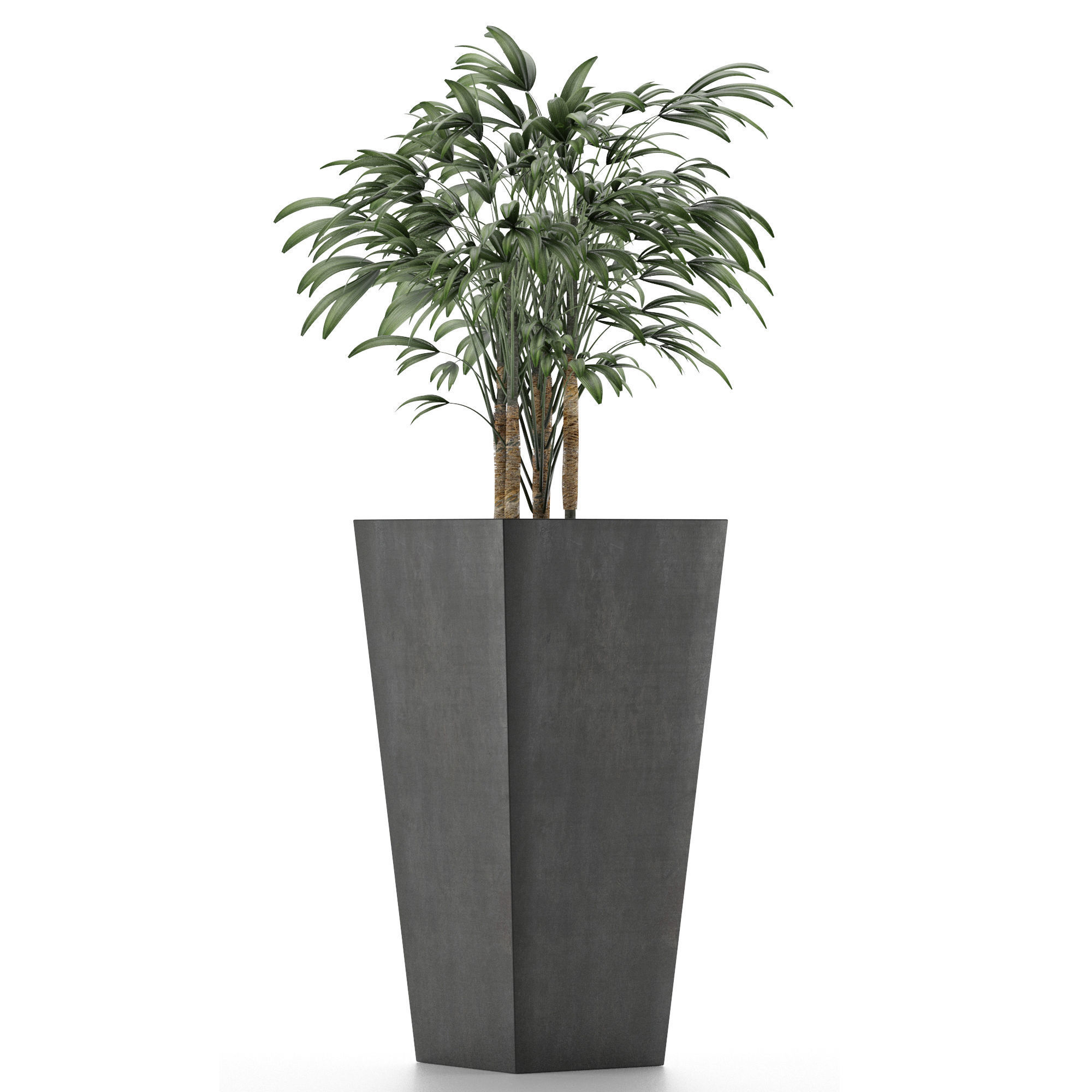Single Plant 09 3D model | CGTrader