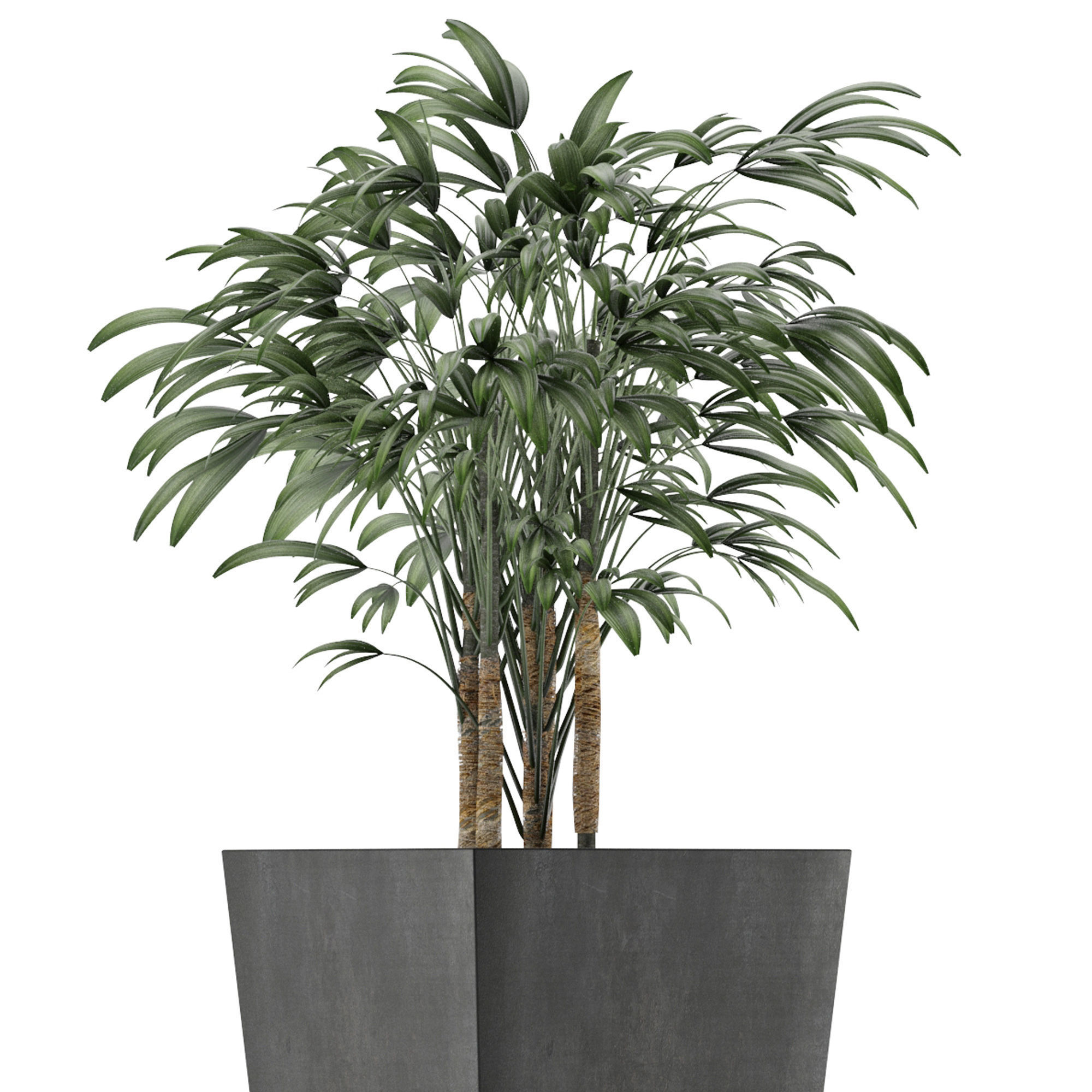 Single Plant 09 3D model | CGTrader