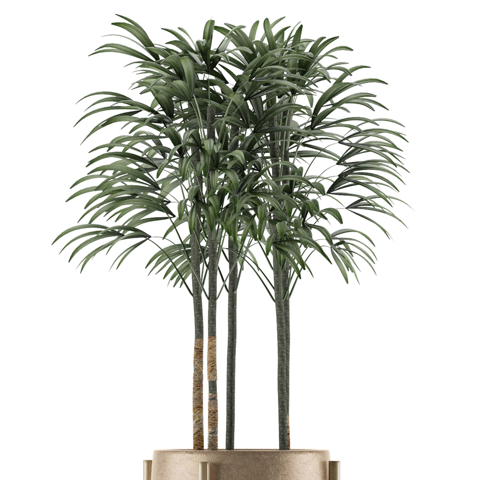 Single Plant 10 3D model | CGTrader