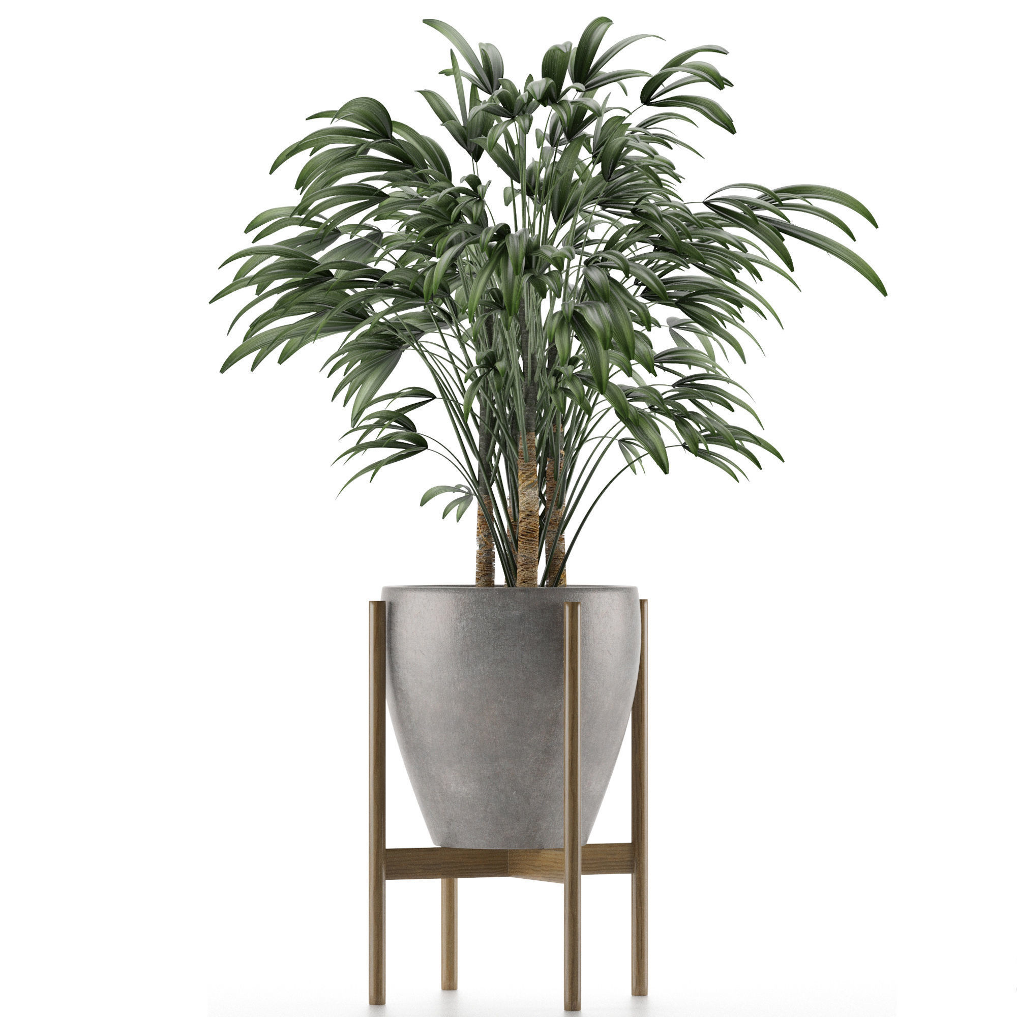 Single Plant 16 3D model | CGTrader