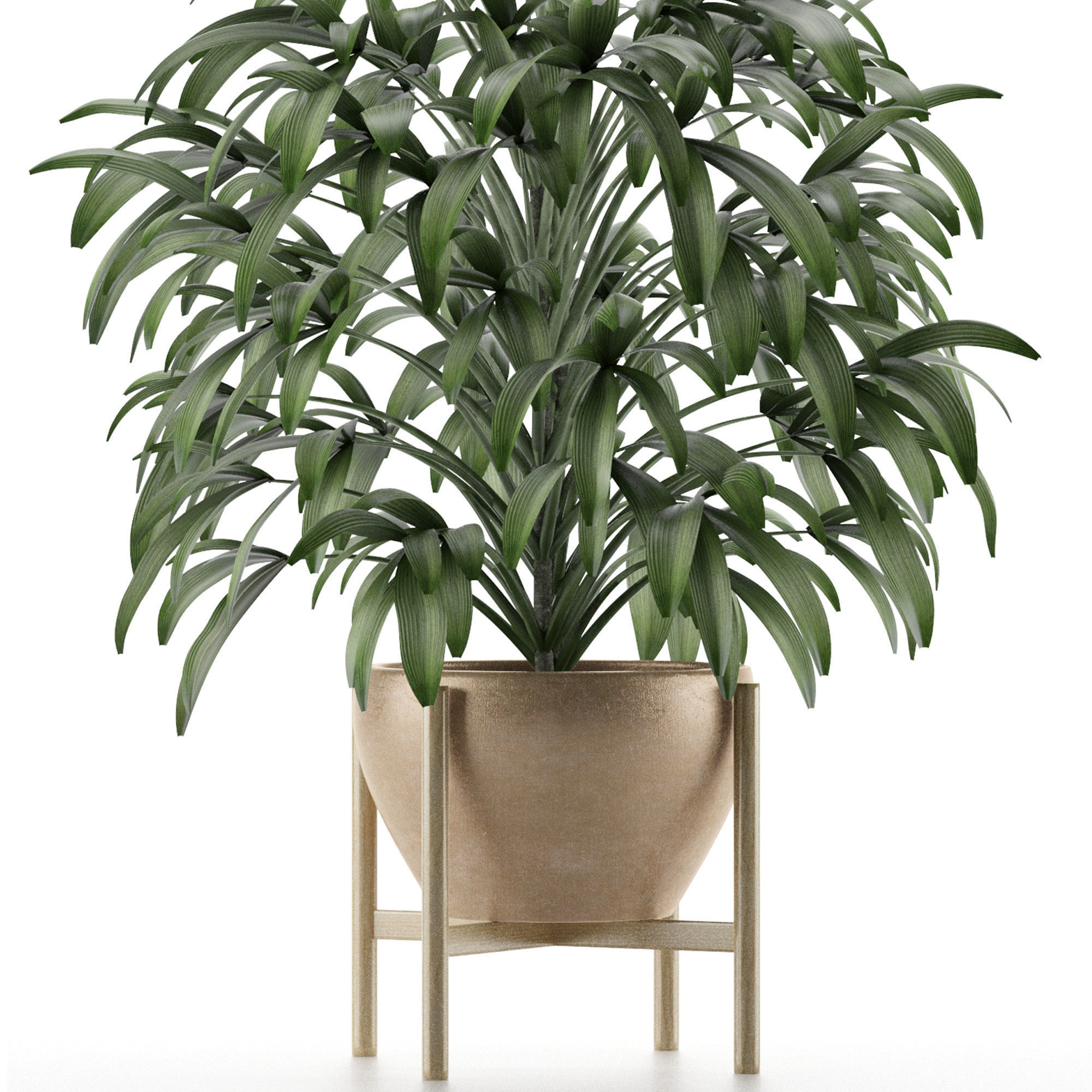 Single Plant 17 3D model | CGTrader