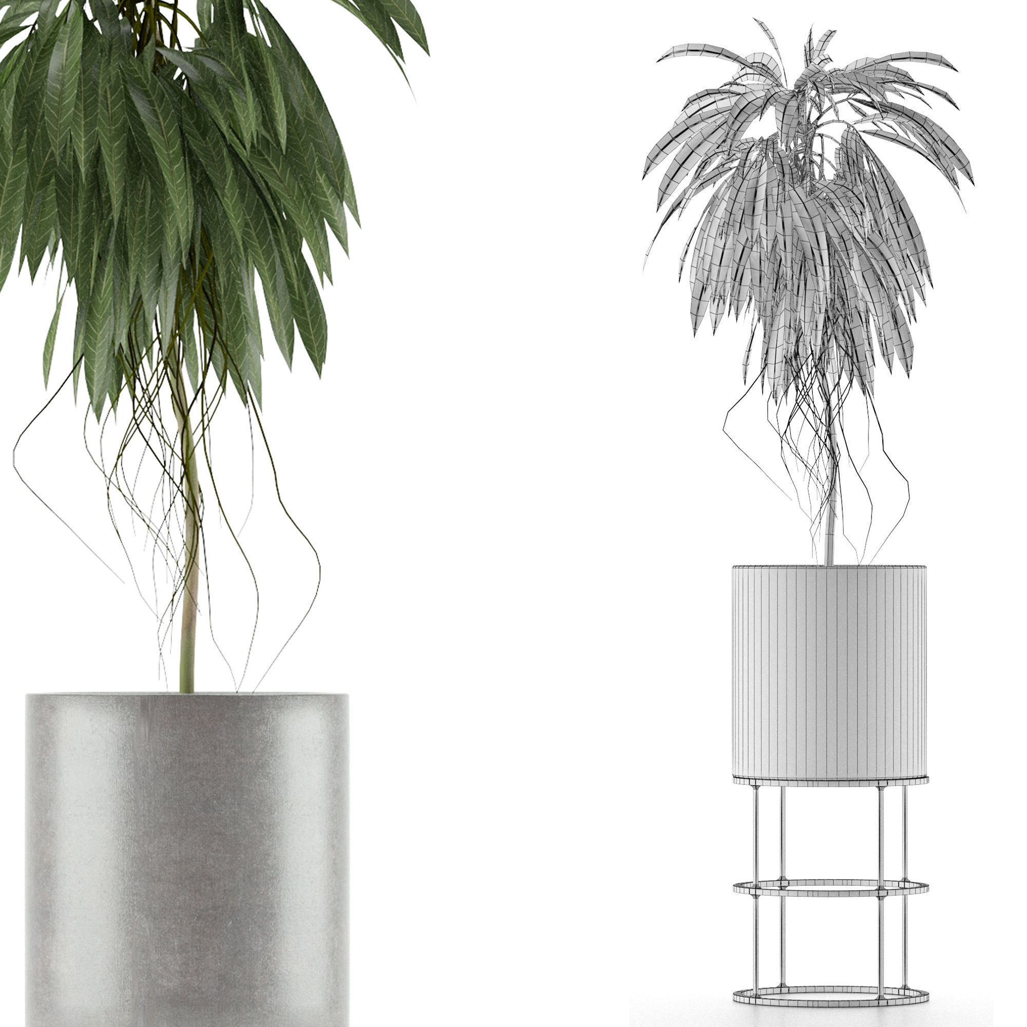Single Plant 18 3D model | CGTrader