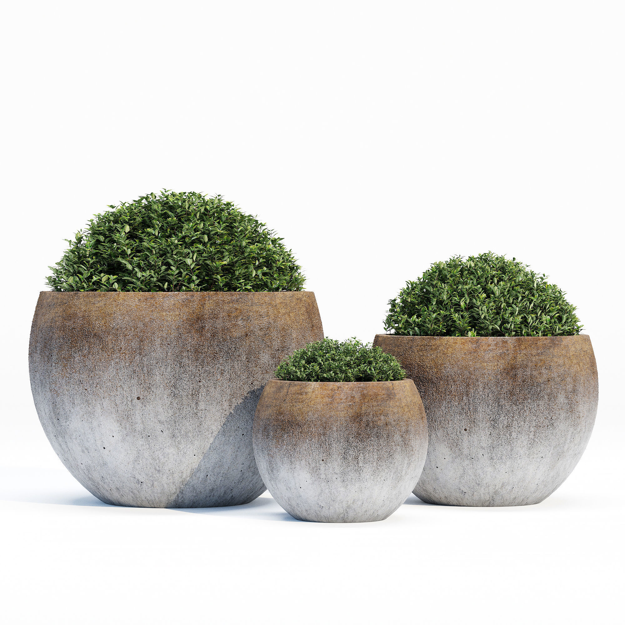 Gris pot 3D model | CGTrader