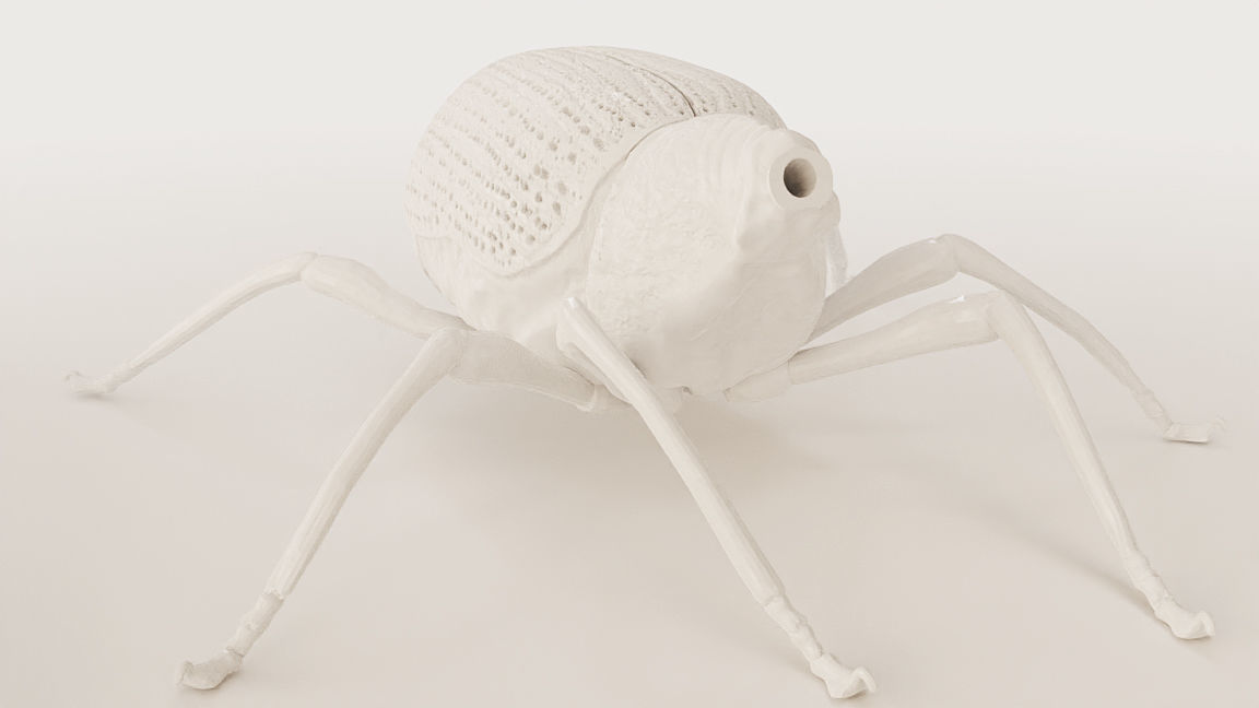 Giraffe weevil 3D model 3D printable | CGTrader