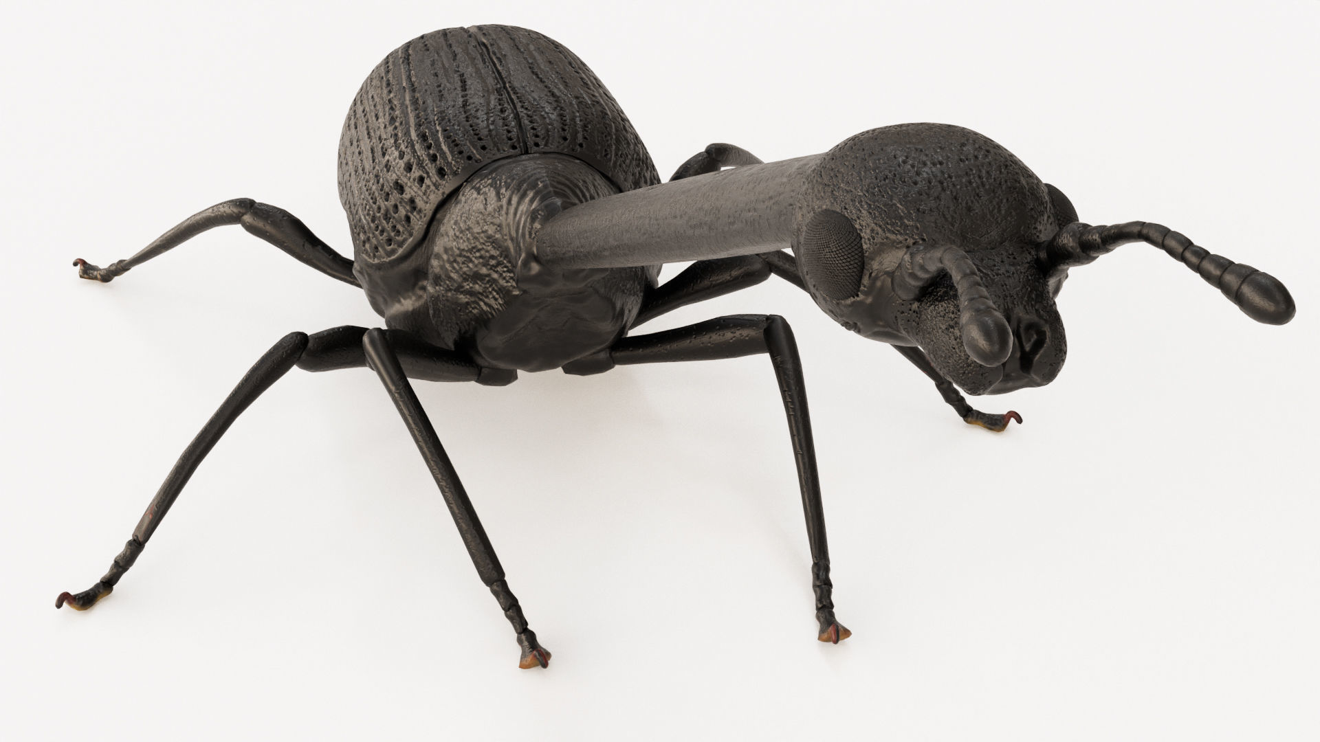 Giraffe weevil 3D model 3D printable | CGTrader