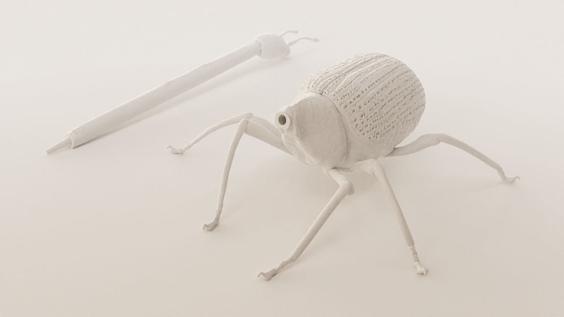 Giraffe weevil 3D model 3D printable | CGTrader