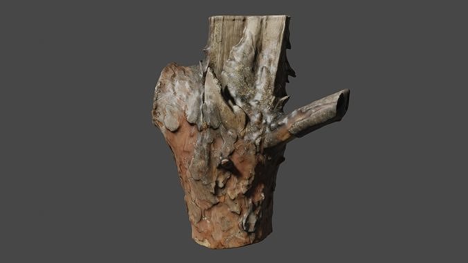 Photo-realistic wood free 3D model | CGTrader