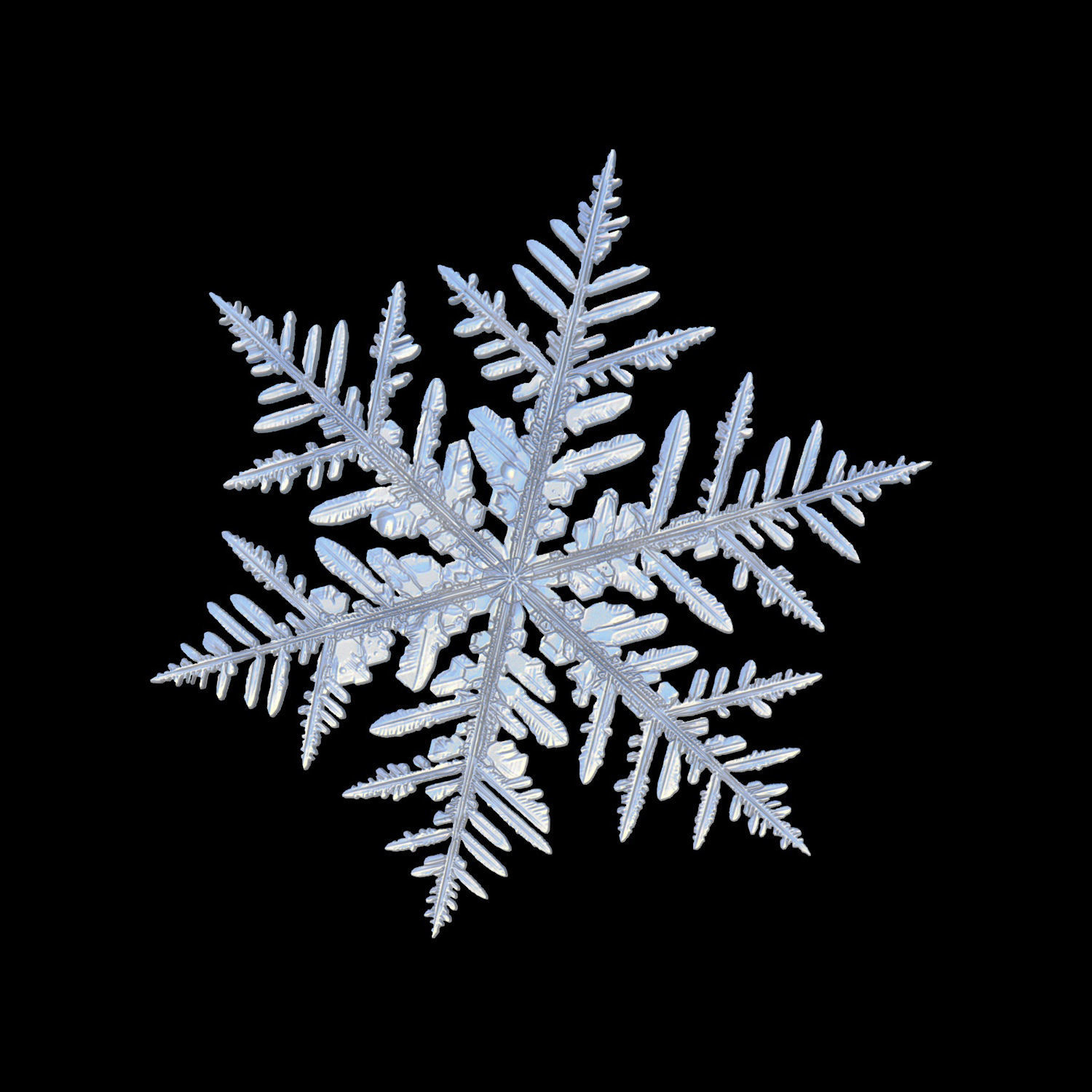 snow flake 3D model | CGTrader