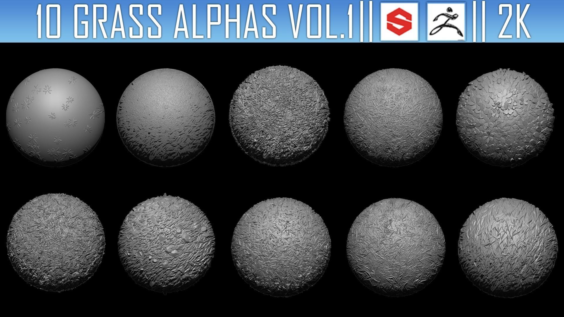 ZBRush Grass Alphas 3D model | CGTrader