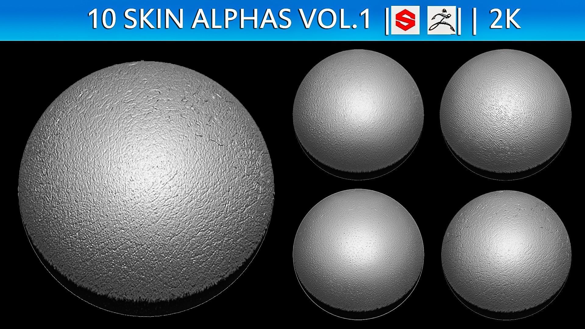 ZBrush Skin Alphas 3D model | CGTrader