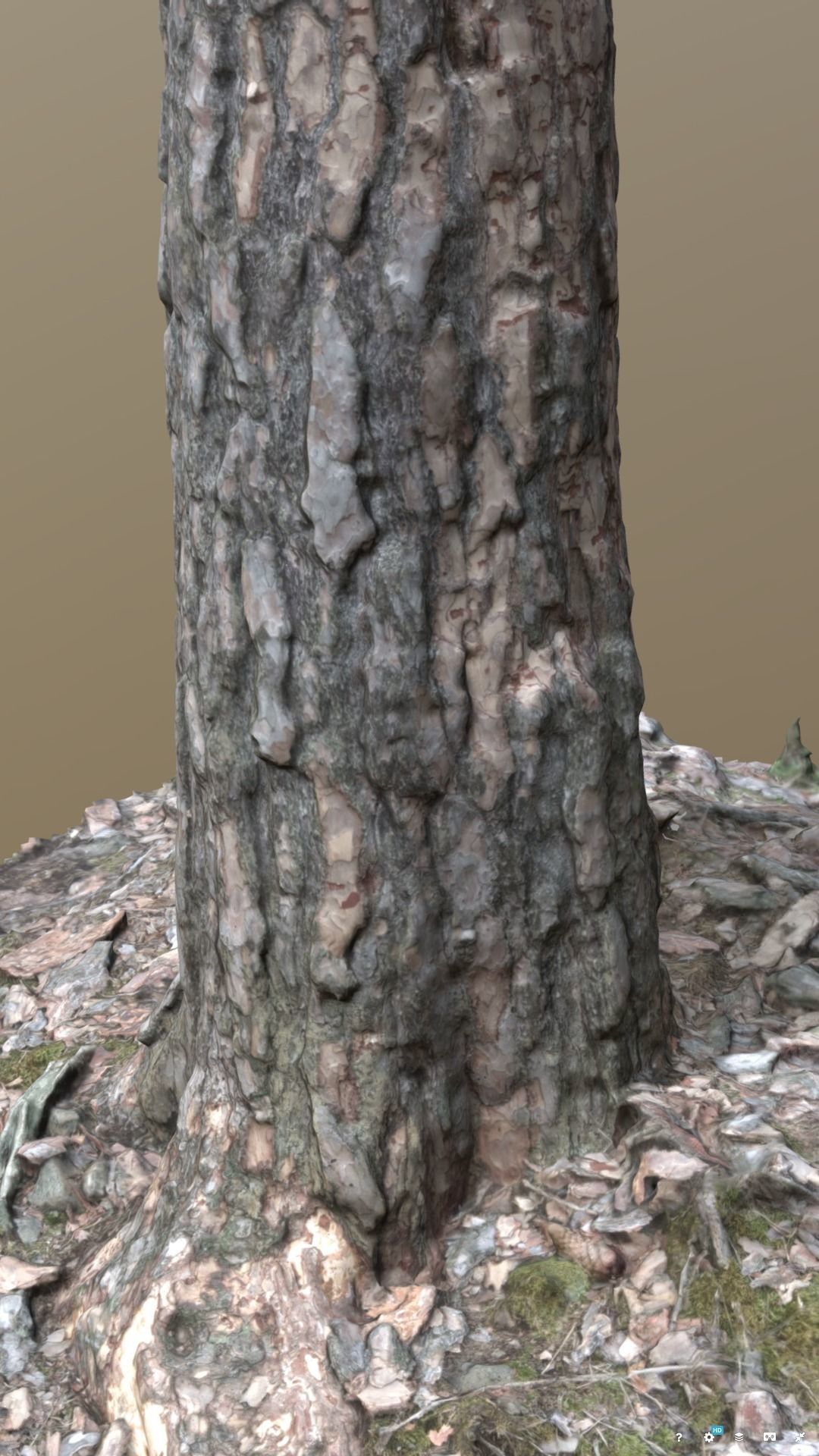Old pine trunk free 3D model | CGTrader