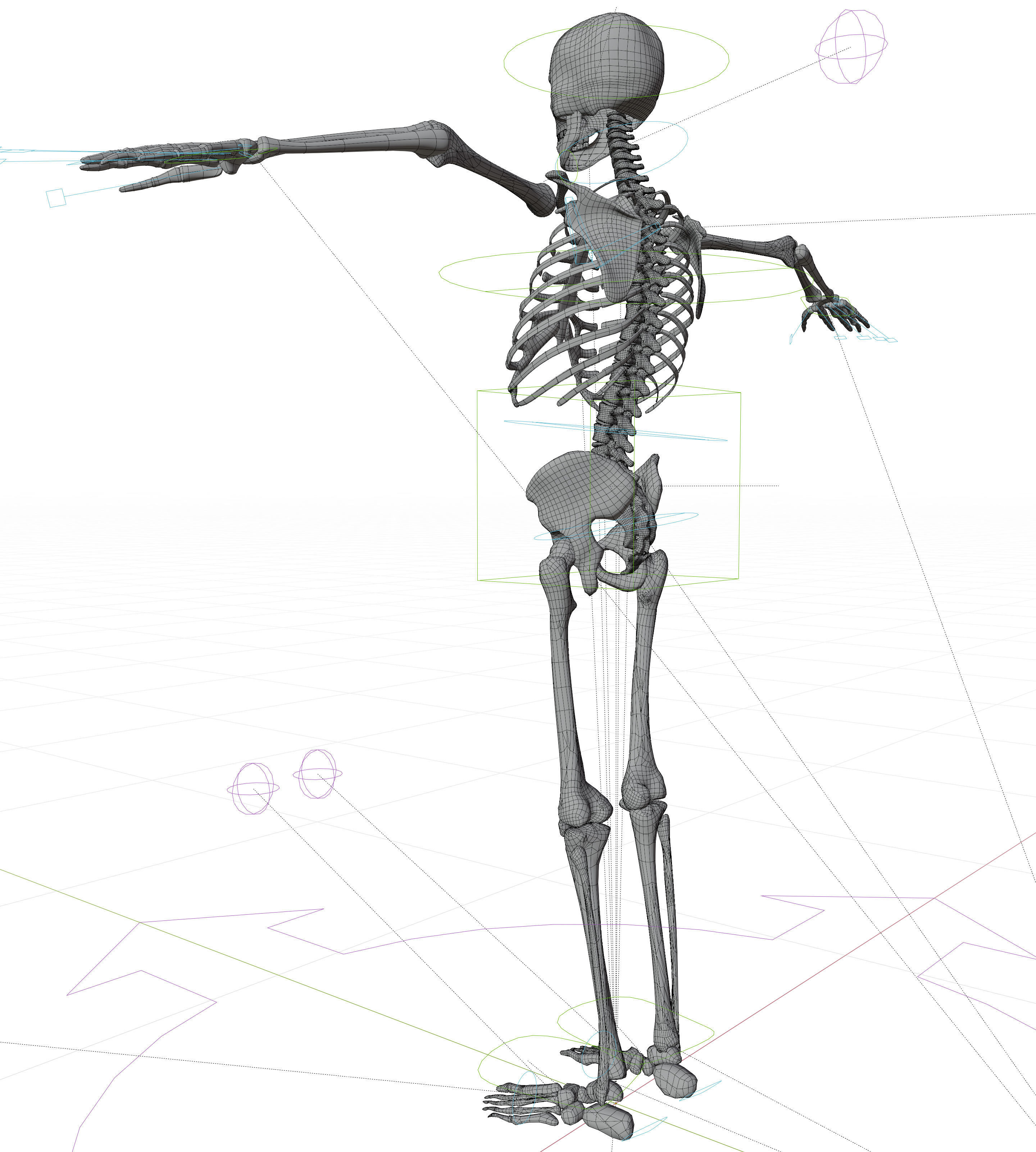 3D model Human Skeleton VR / AR / low-poly rigged | CGTrader
