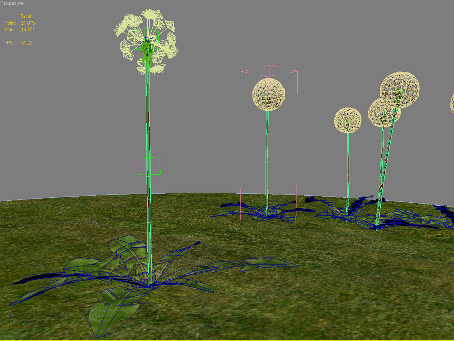 Dandelion animated 3D model animated rigged | CGTrader