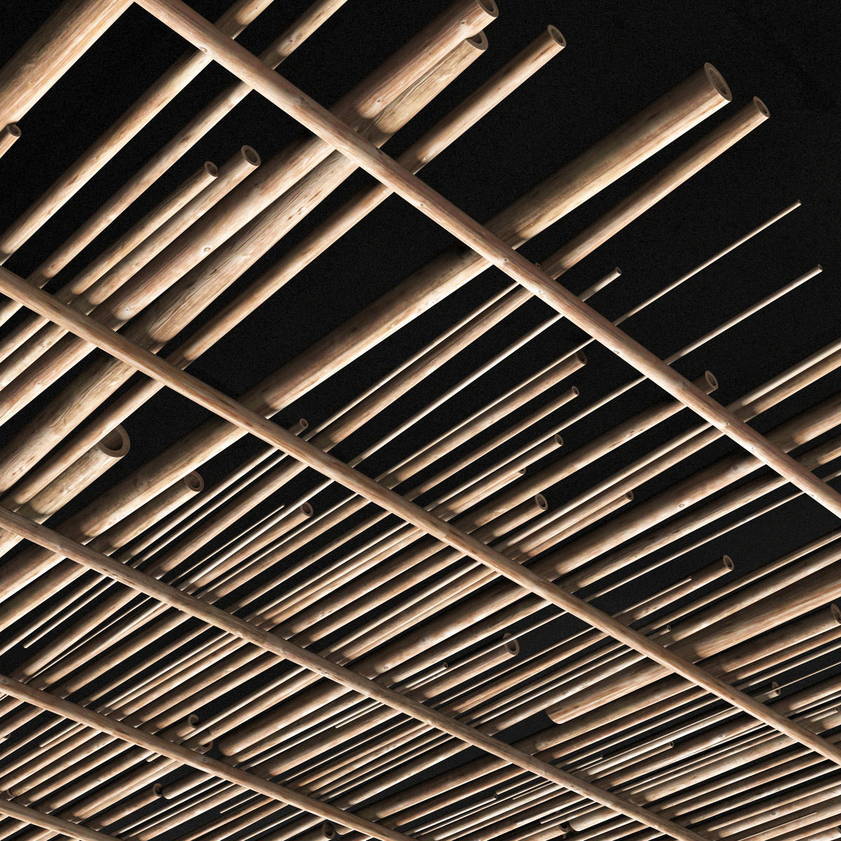 Ceiling round twig n1 3D model | CGTrader
