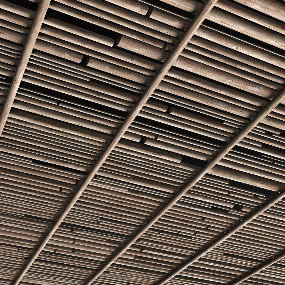 Ceiling round twig n1 3D model | CGTrader