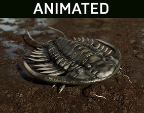 Animated Trilobites 3D Models | CGTrader