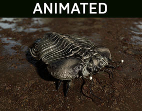 Animated Trilobites 3D Models | CGTrader