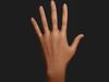 Female Left Hand 3D model | CGTrader