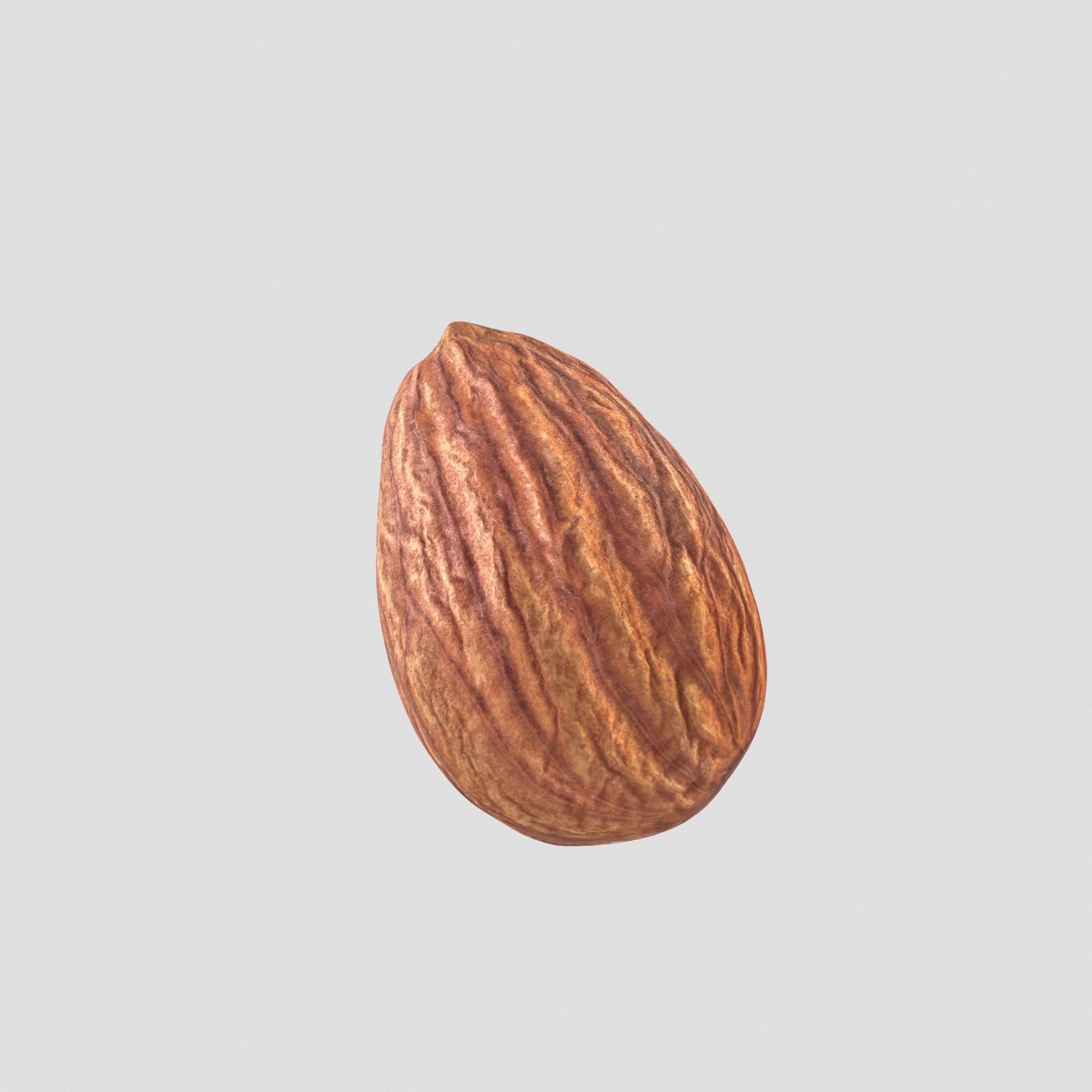 Almond 3D model | CGTrader