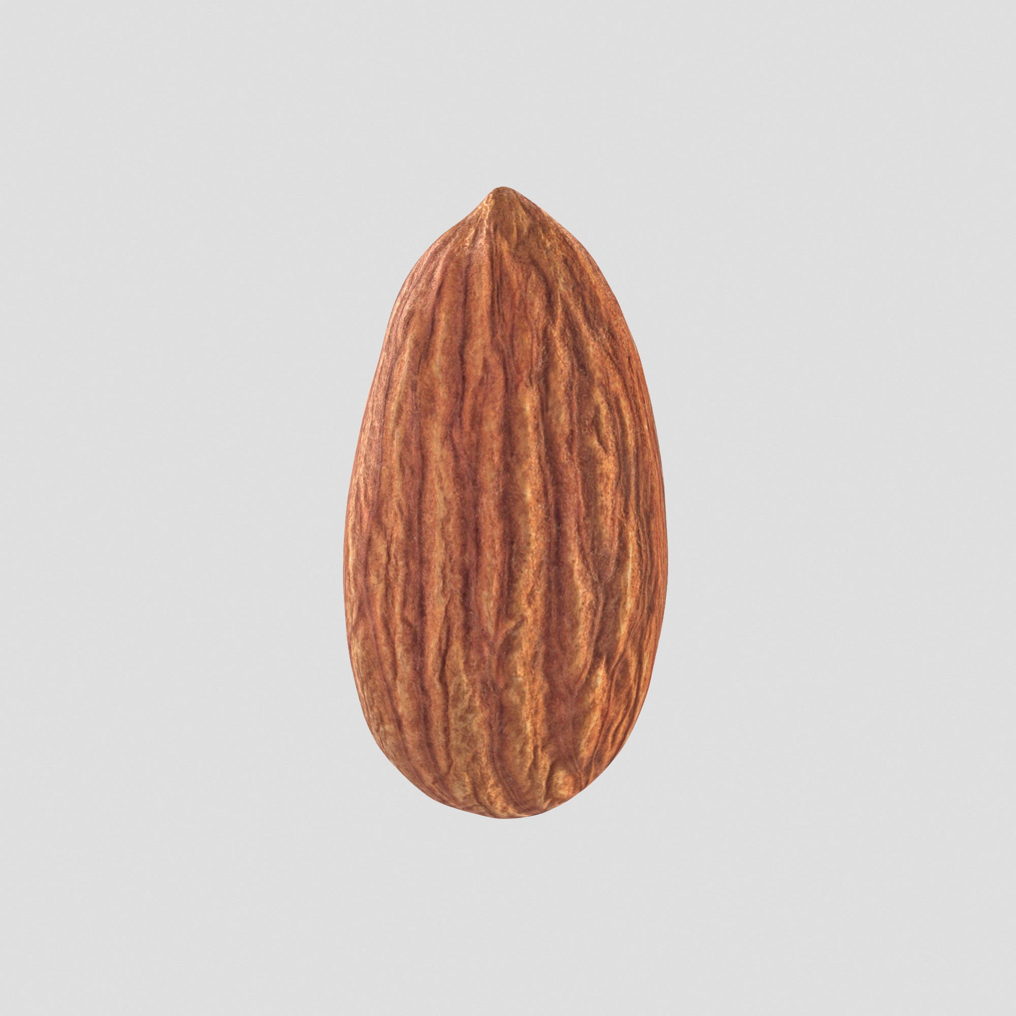 Almond 3D model | CGTrader