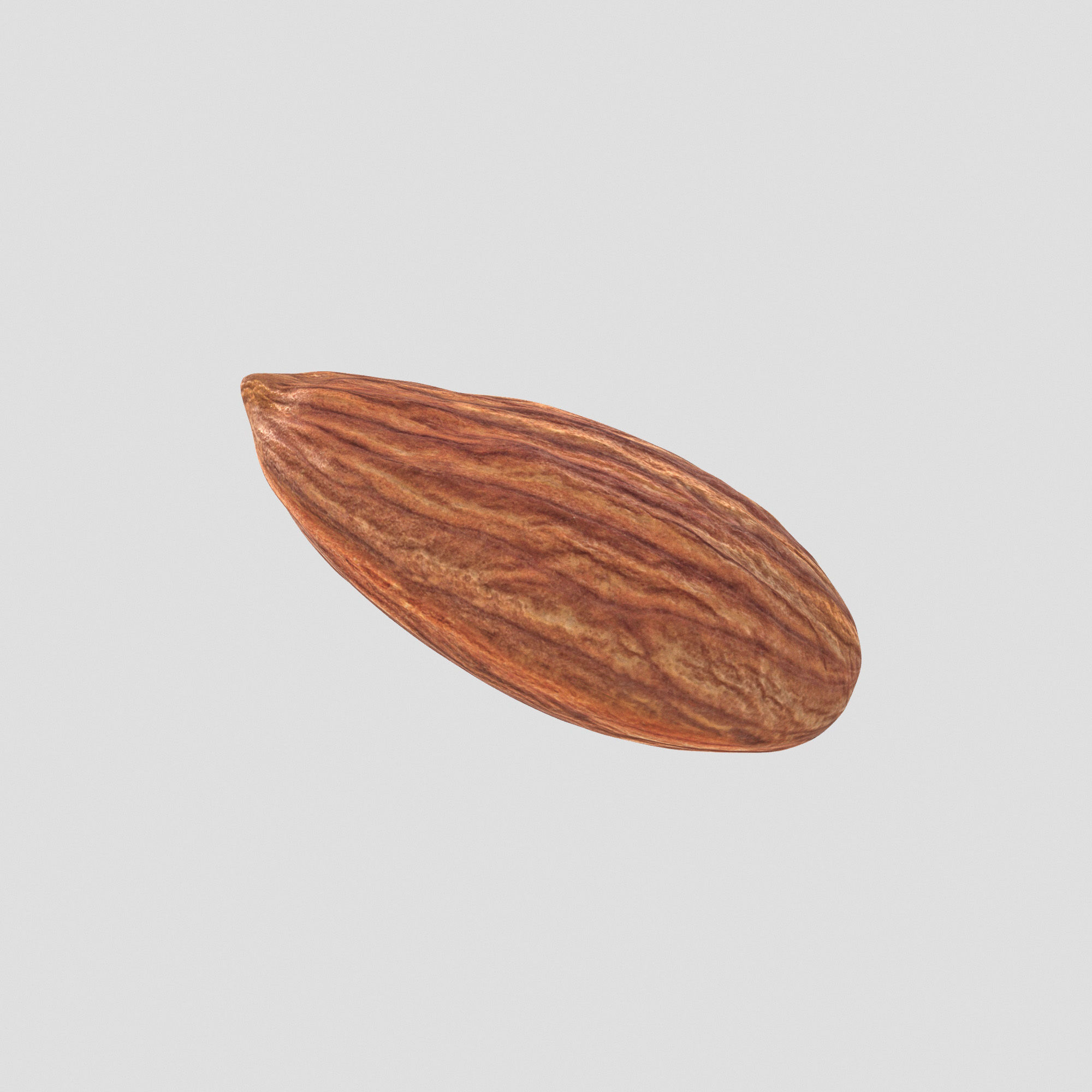 Almond 3D model | CGTrader