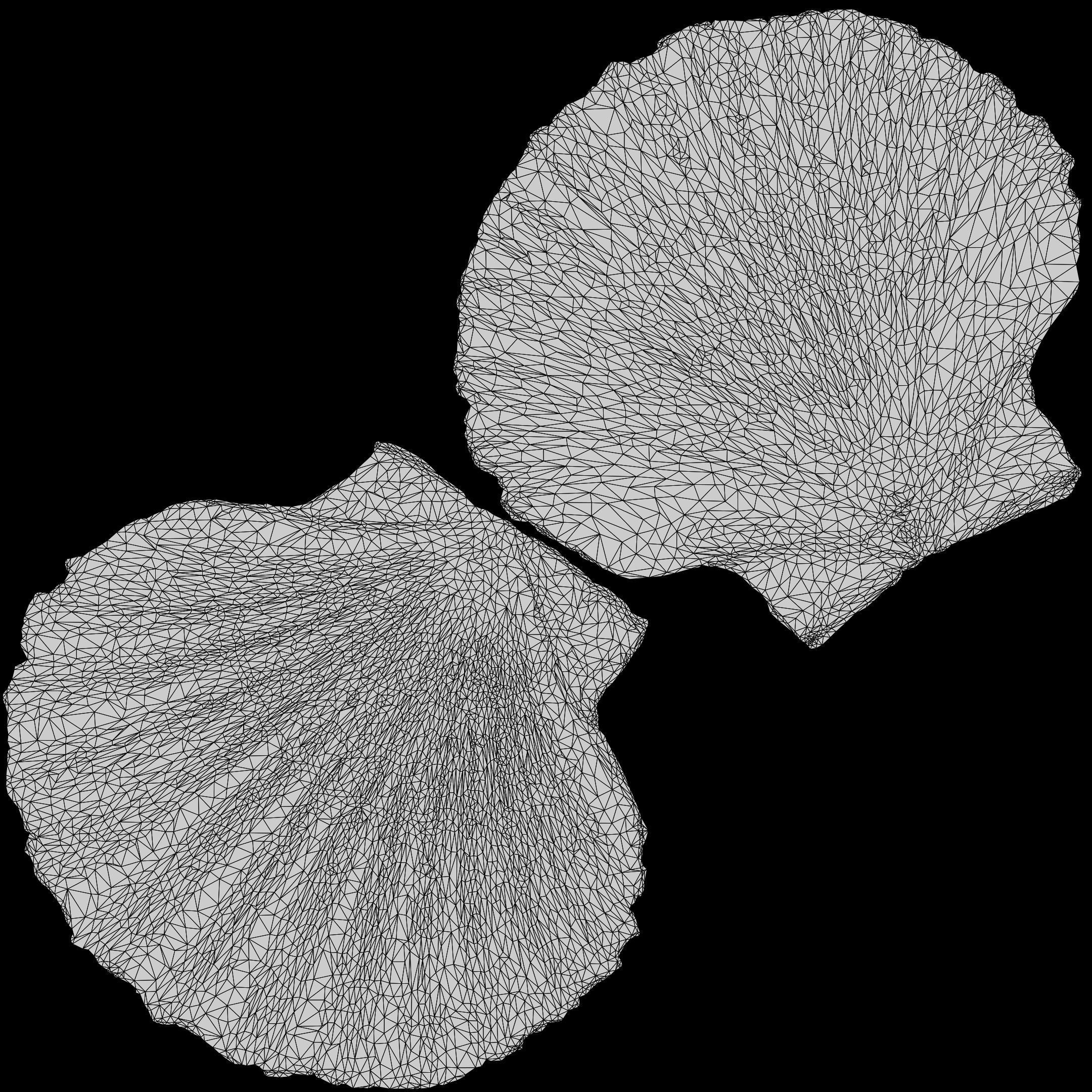 3D model Scallop sea shell VR / AR / low-poly | CGTrader